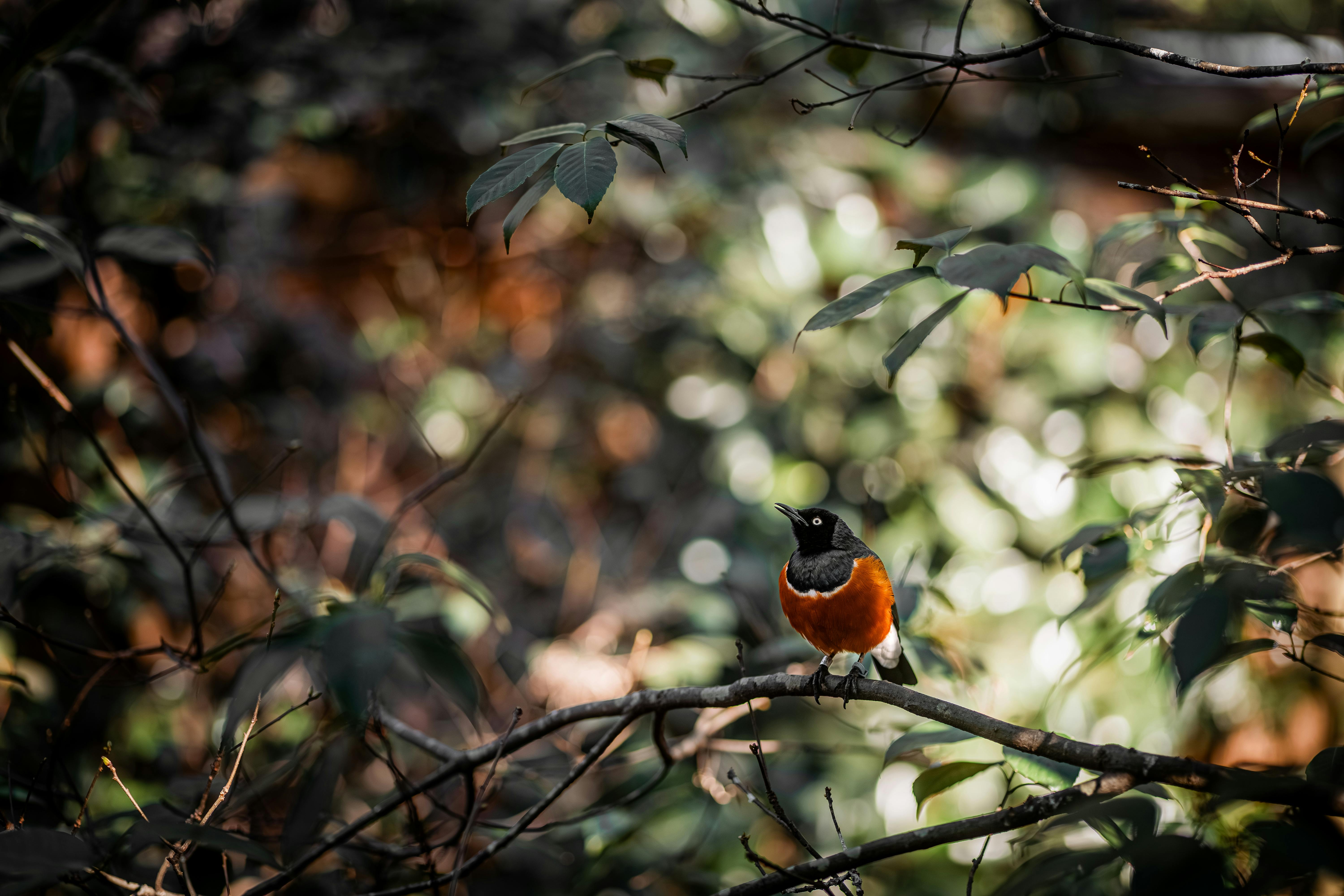 Downloads+F Photos, Download The BEST Free Downloads+F Stock Photos ...