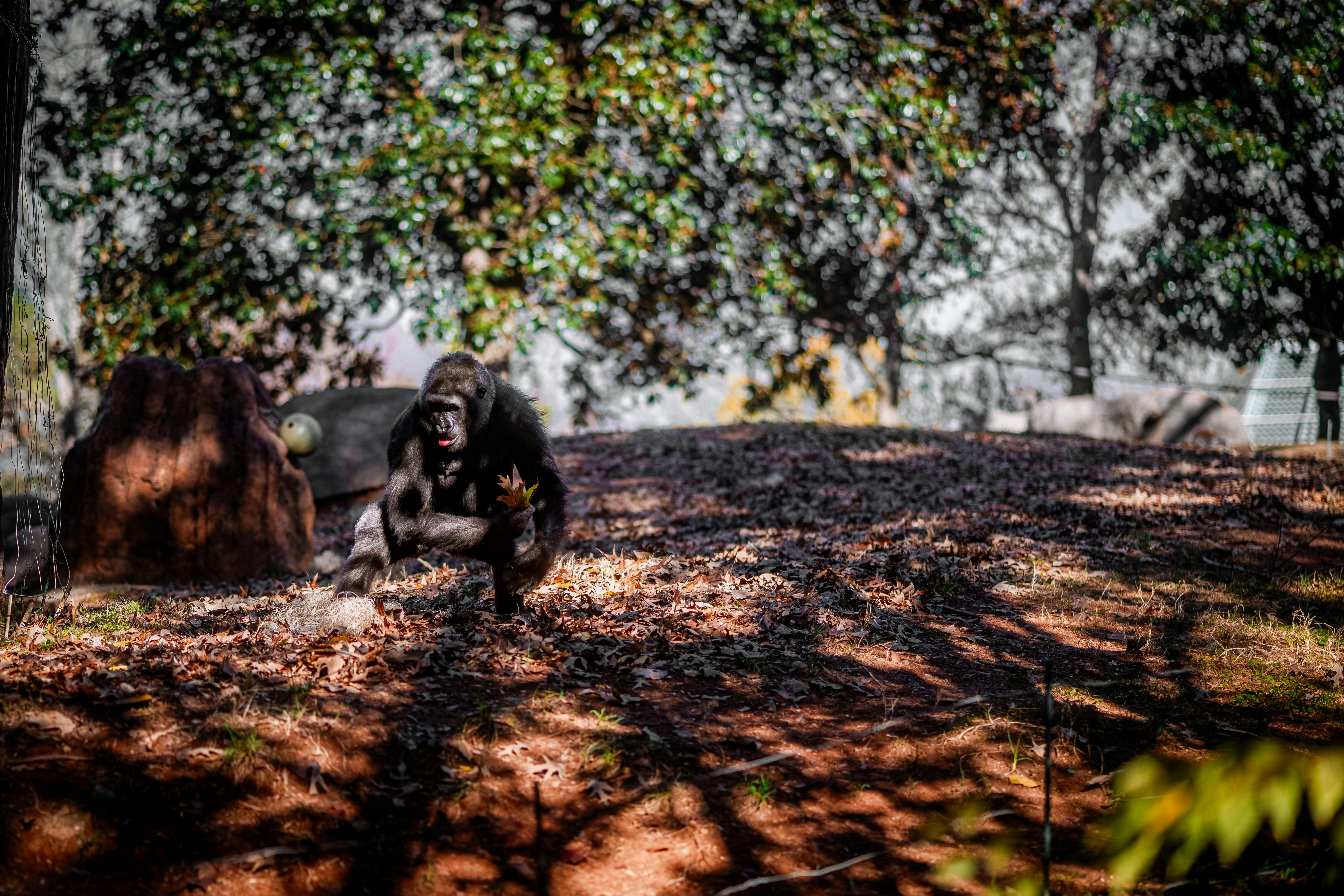 Downloads+F Photos, Download The BEST Free Downloads+F Stock Photos ...