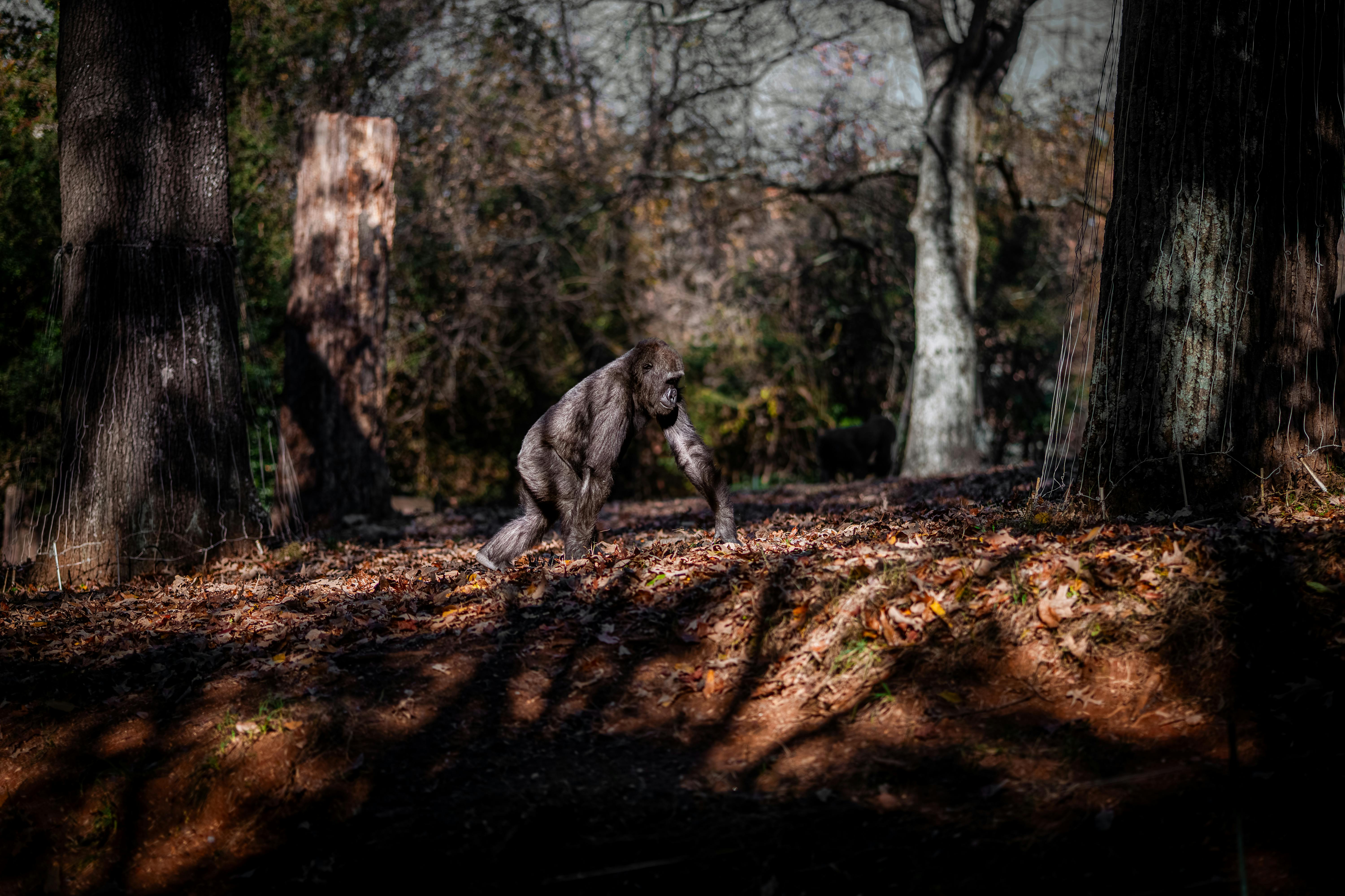 Downloads+F Photos, Download The BEST Free Downloads+F Stock Photos ...