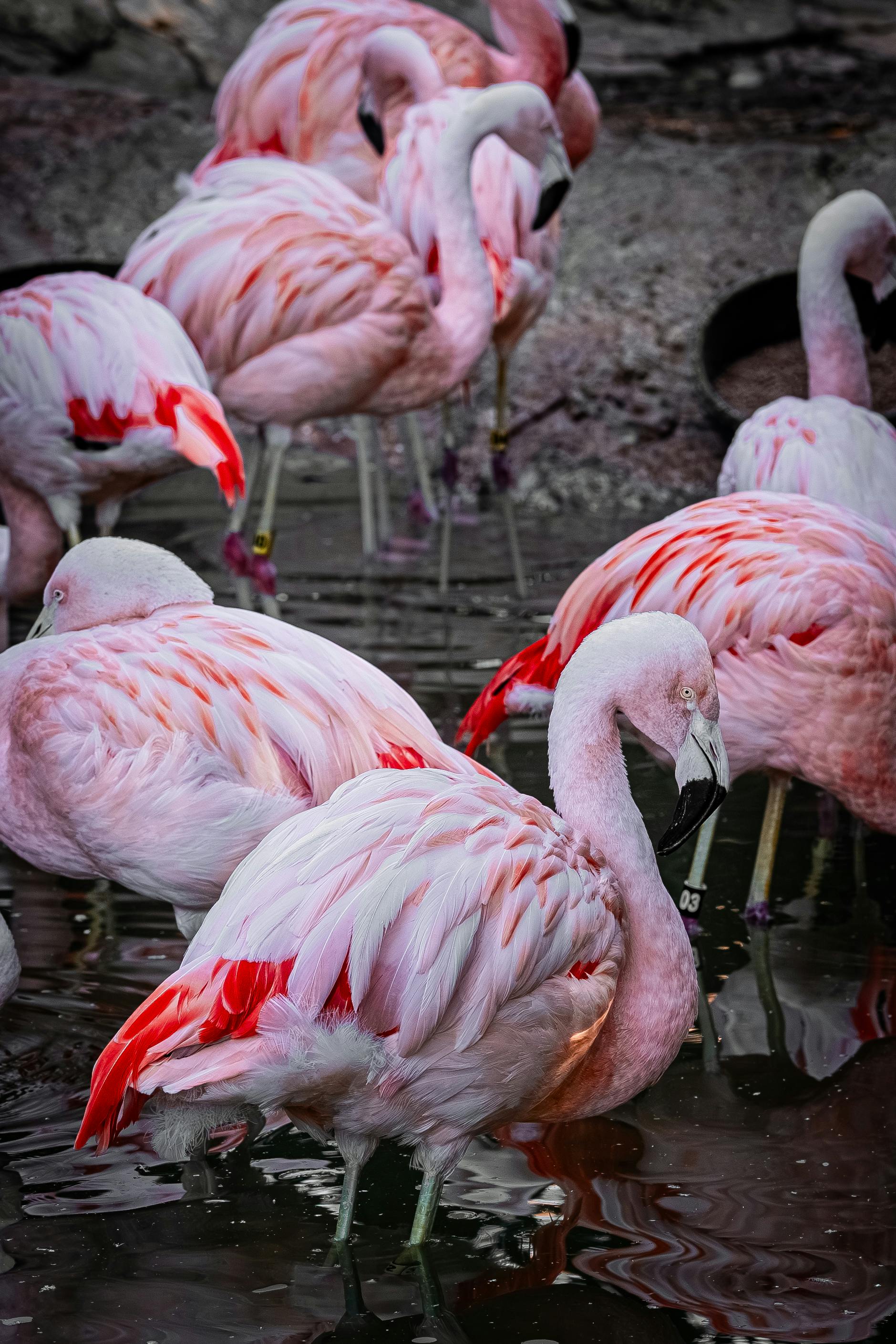 Dreamtime+Images Photos, Download The BEST Free Dreamtime+Images Stock ...