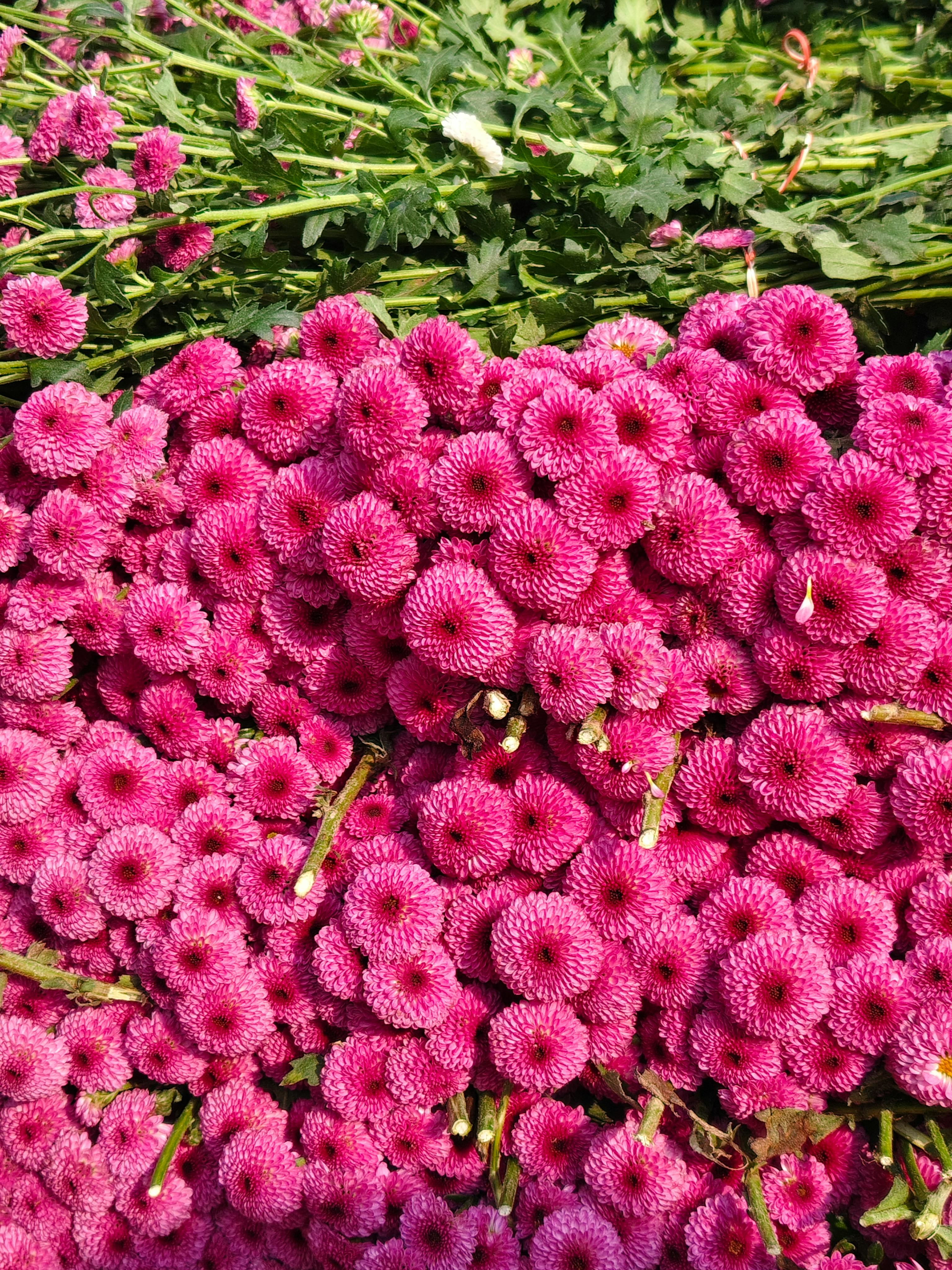 Burning+Chrome+Wallpaper+Hd Photos, Download The BEST Free Burning ...