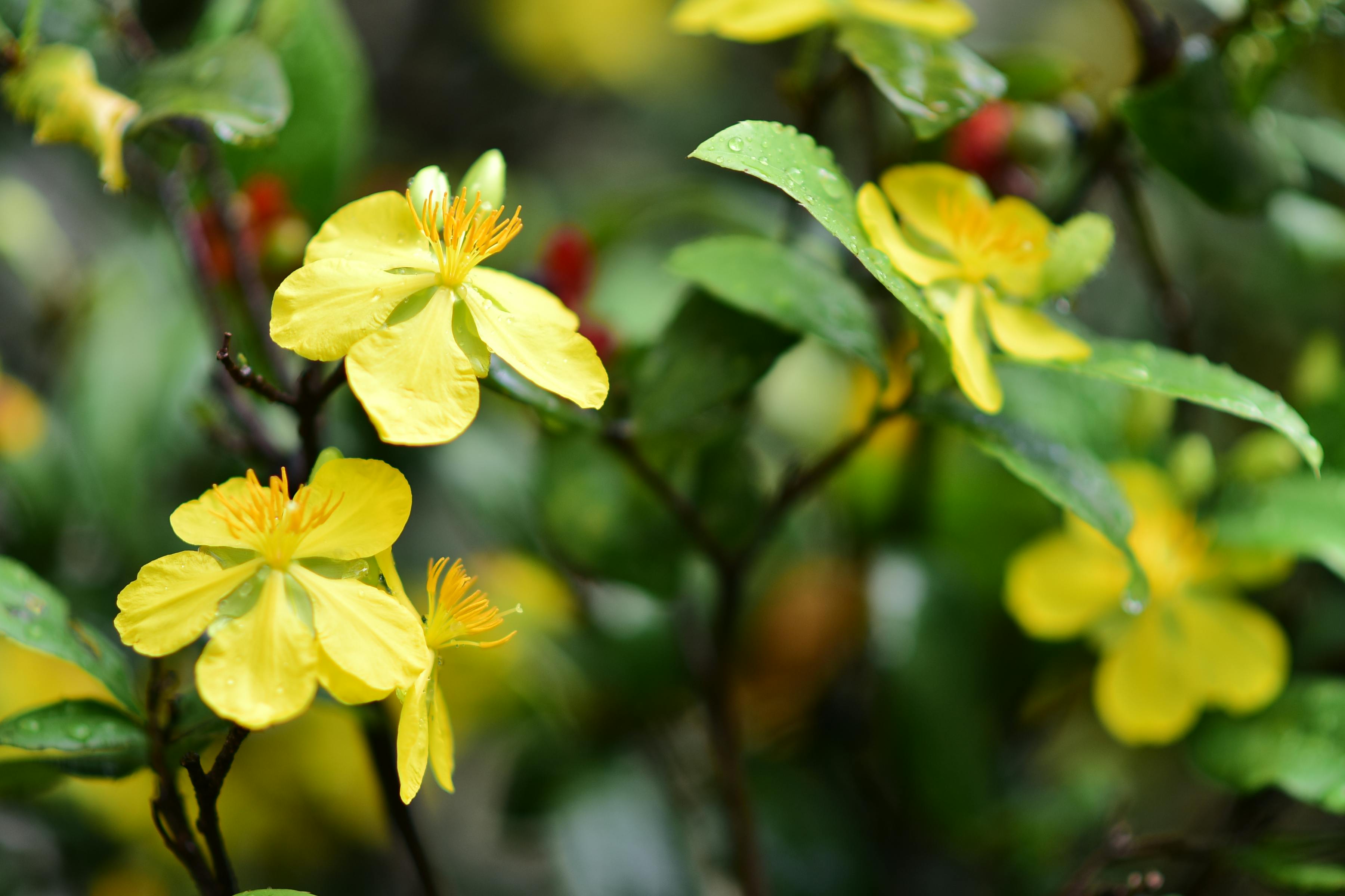 Dreamtime+Images Photos, Download The BEST Free Dreamtime+Images Stock ...