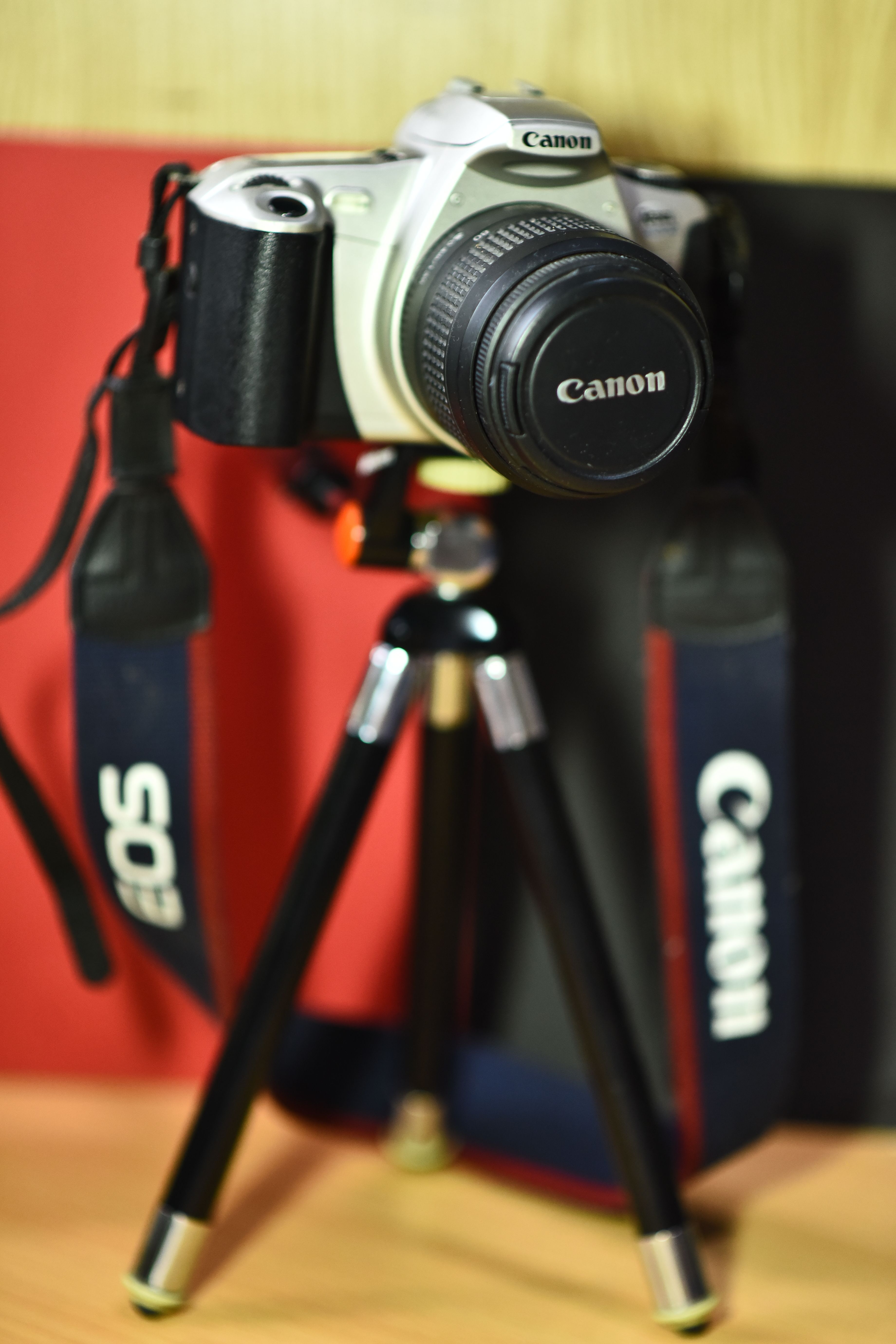 Canon DSLR Camera on Tripod Indoor Setup · Free Stock Photo