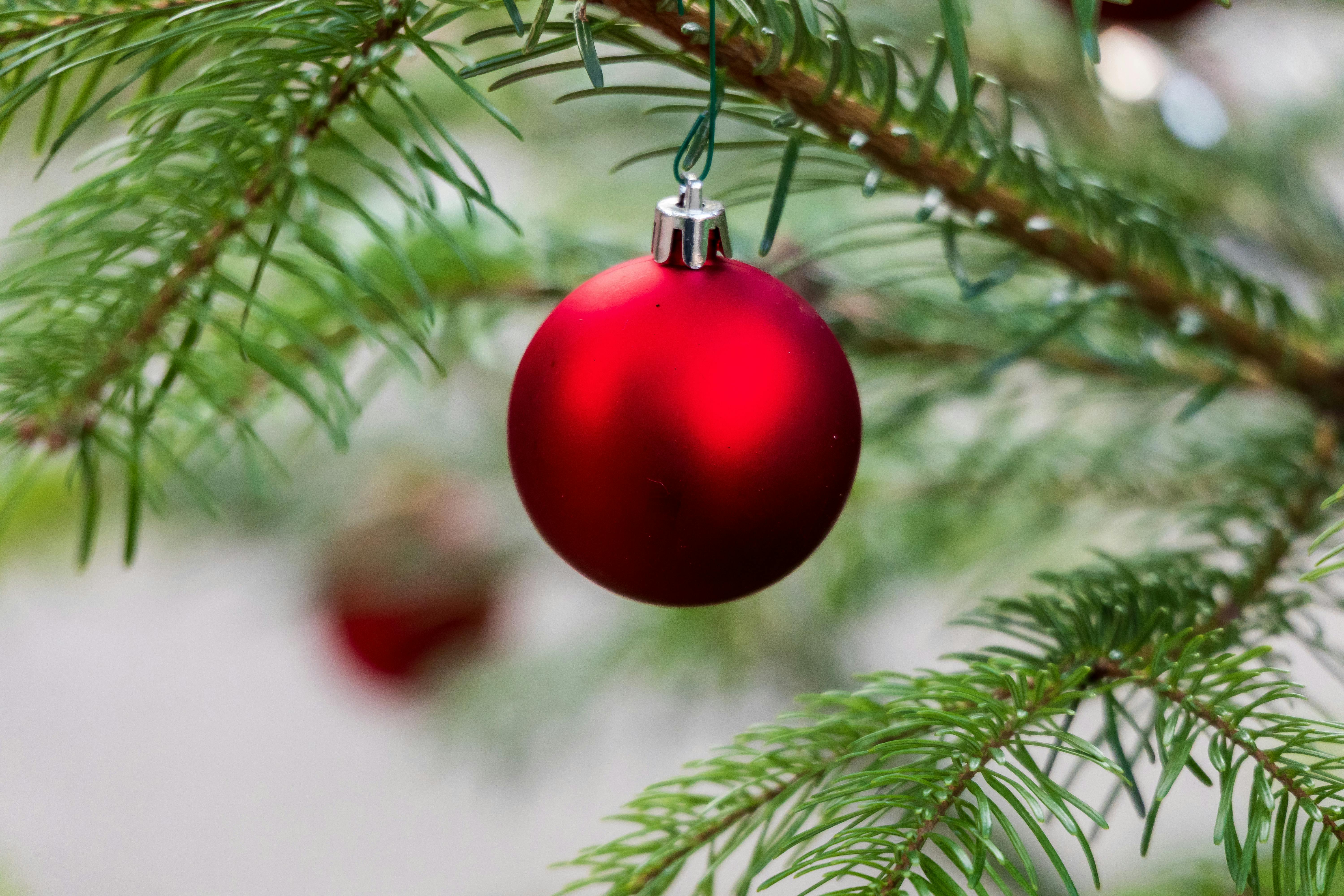 Brainrot Background Photos, Download The BEST Free Brainrot Background ...