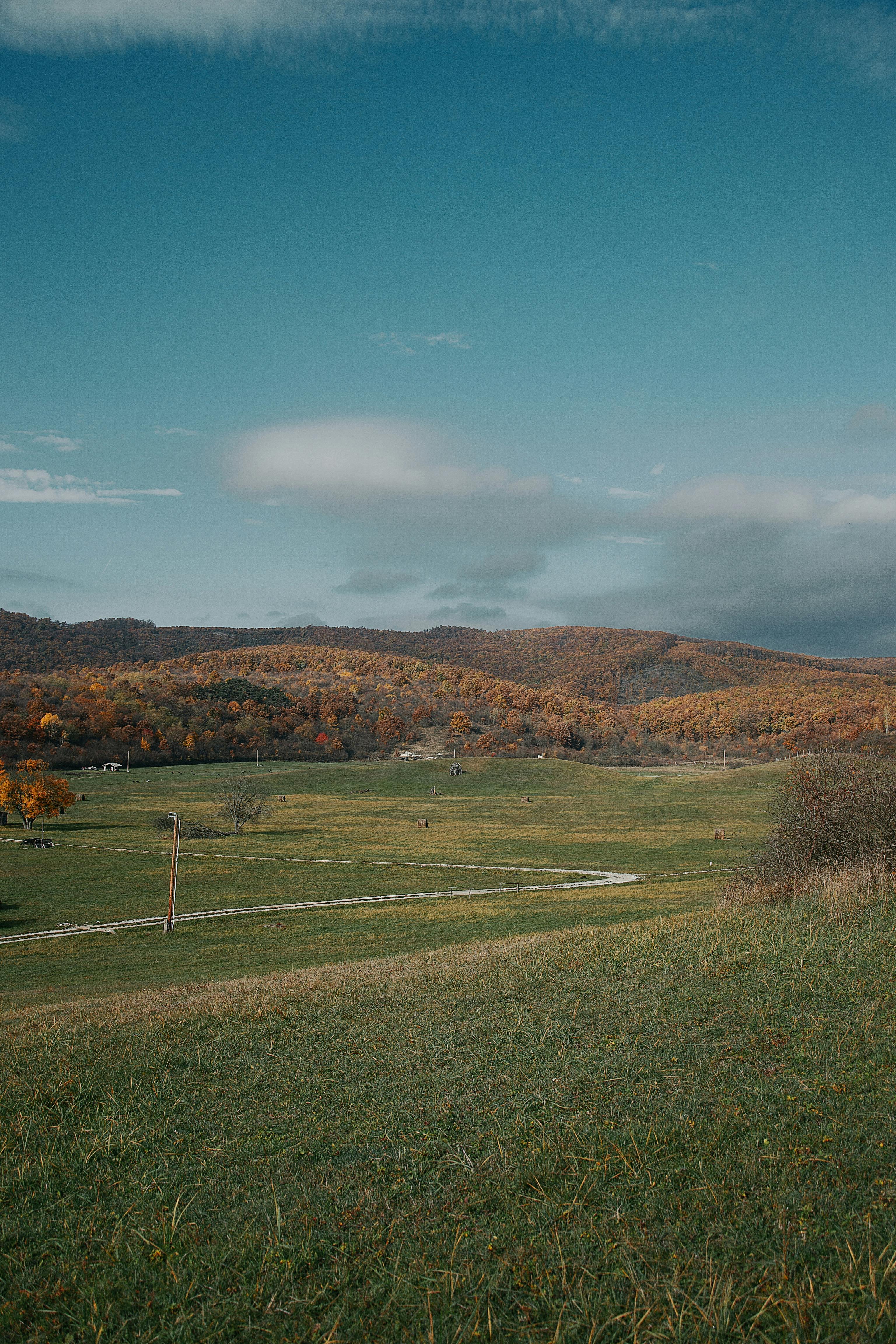 Dreamtime+Images Photos, Download The BEST Free Dreamtime+Images Stock ...