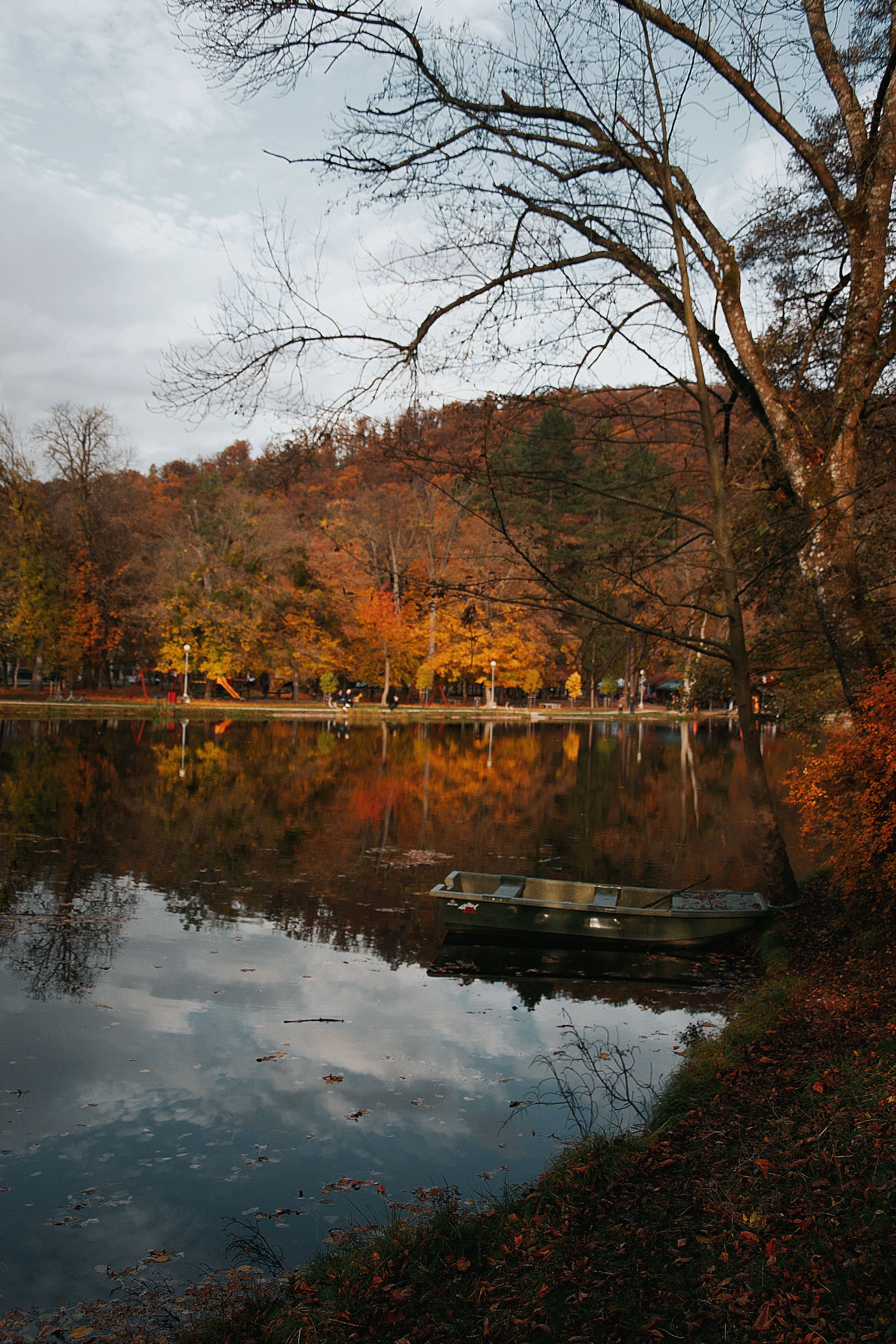 Autumn Landscape Reflection in Hungary · Free Stock Photo