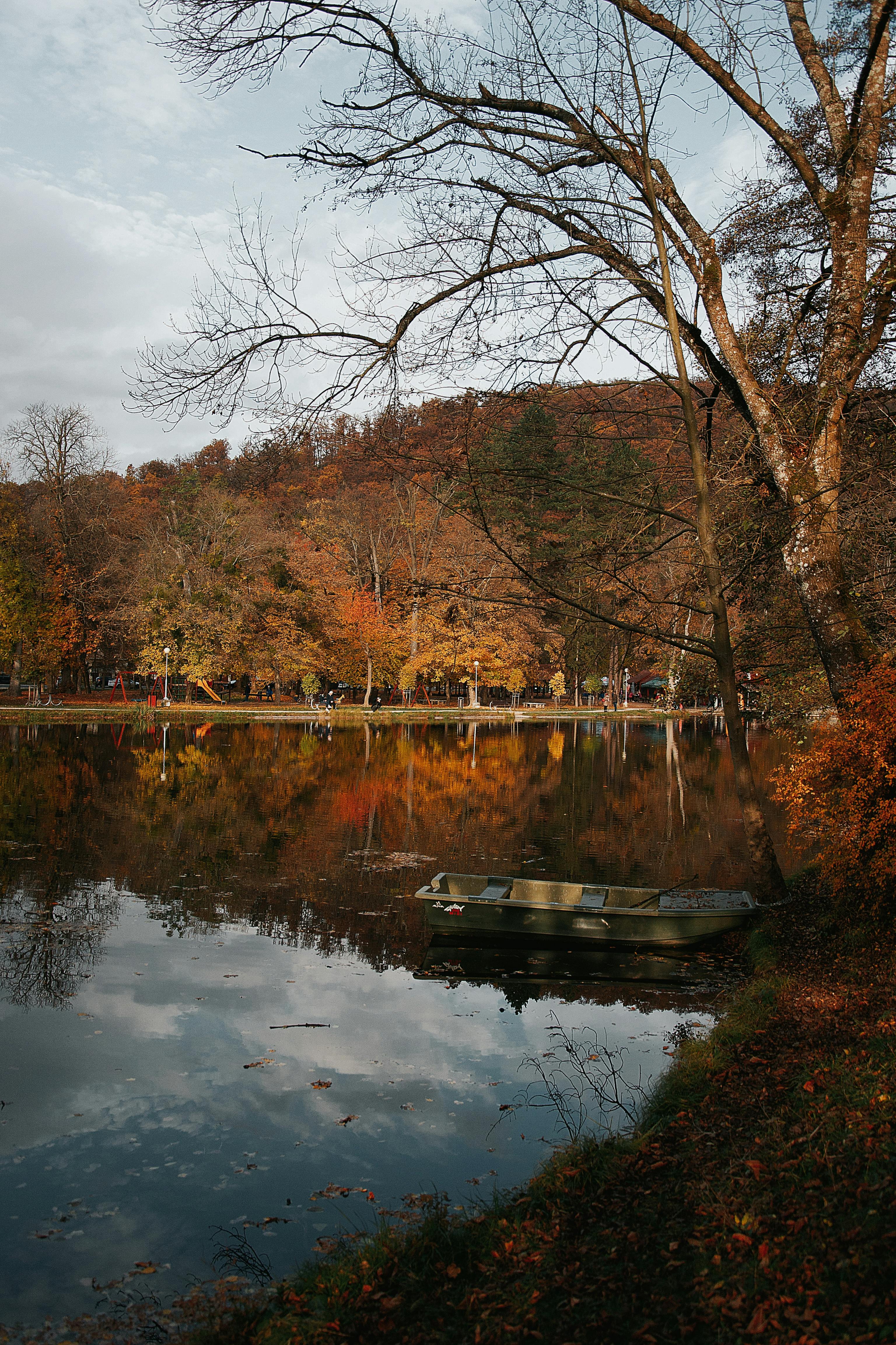 Photo gratuite de @extérieur, arbres, automne, aventure, bateau, berge ...