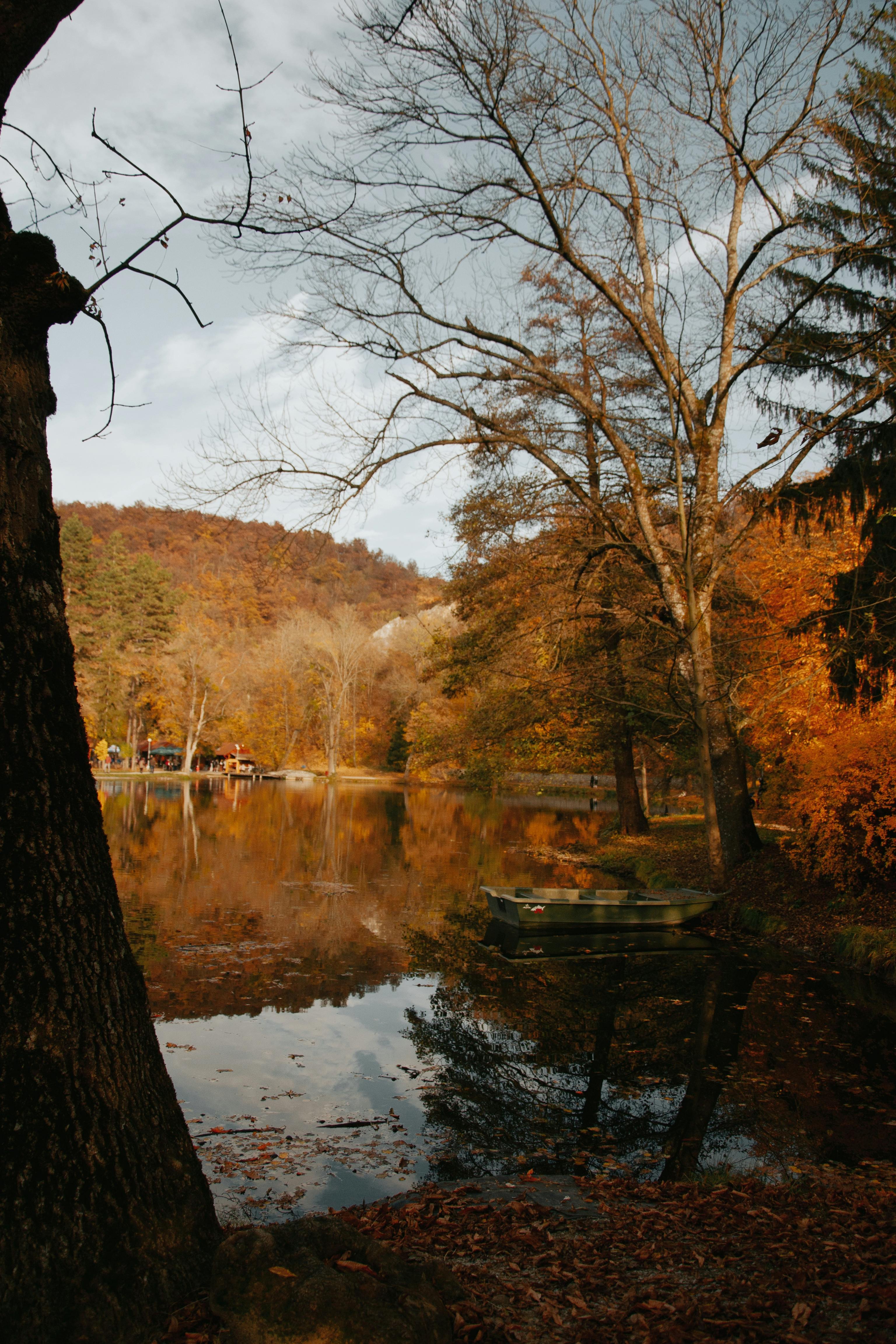 4k Wallpaper Jax Pena Photos, Download The BEST Free 4k Wallpaper Jax ...