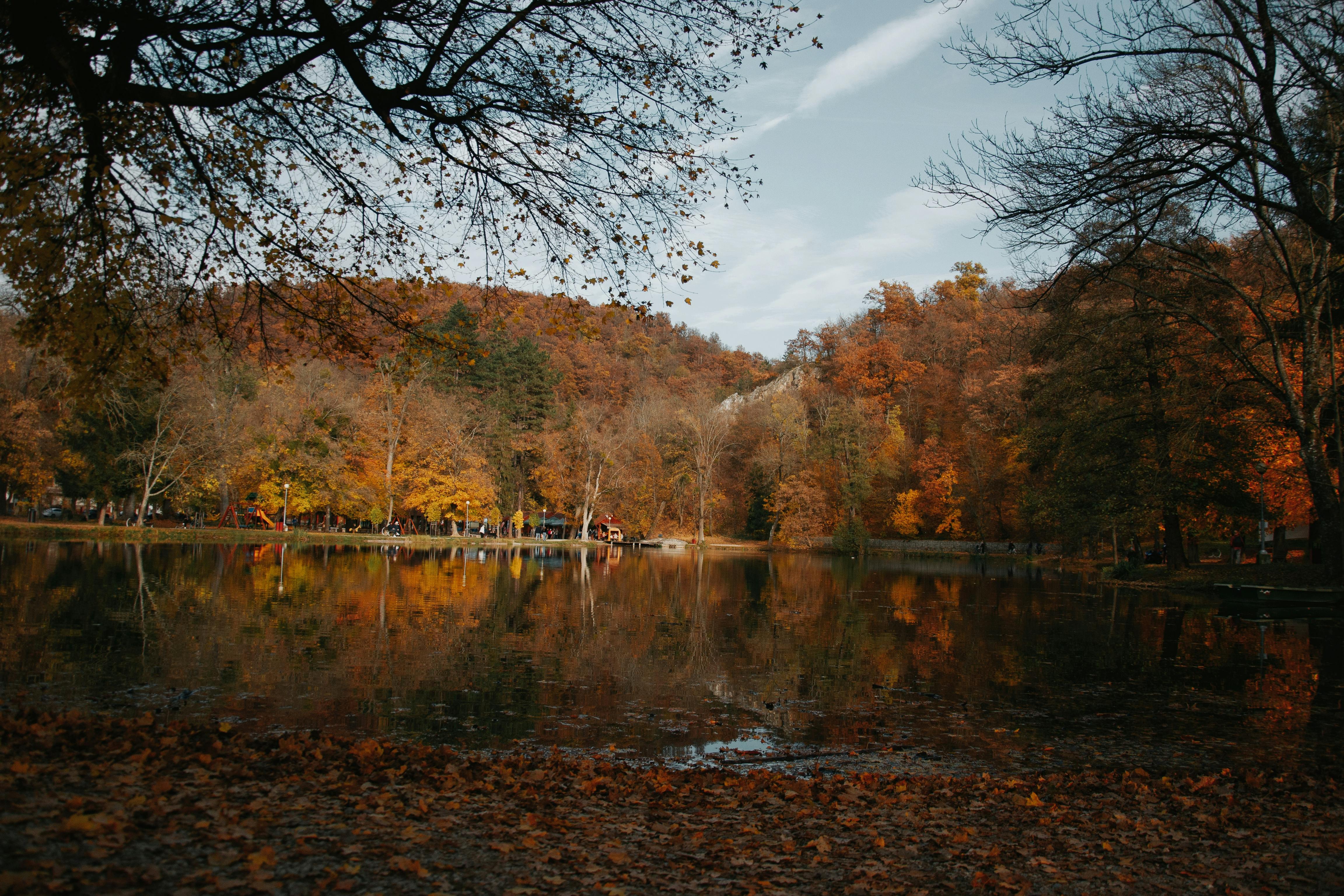 Wallpaper+Freepik Photos, Download The BEST Free Wallpaper+Freepik ...