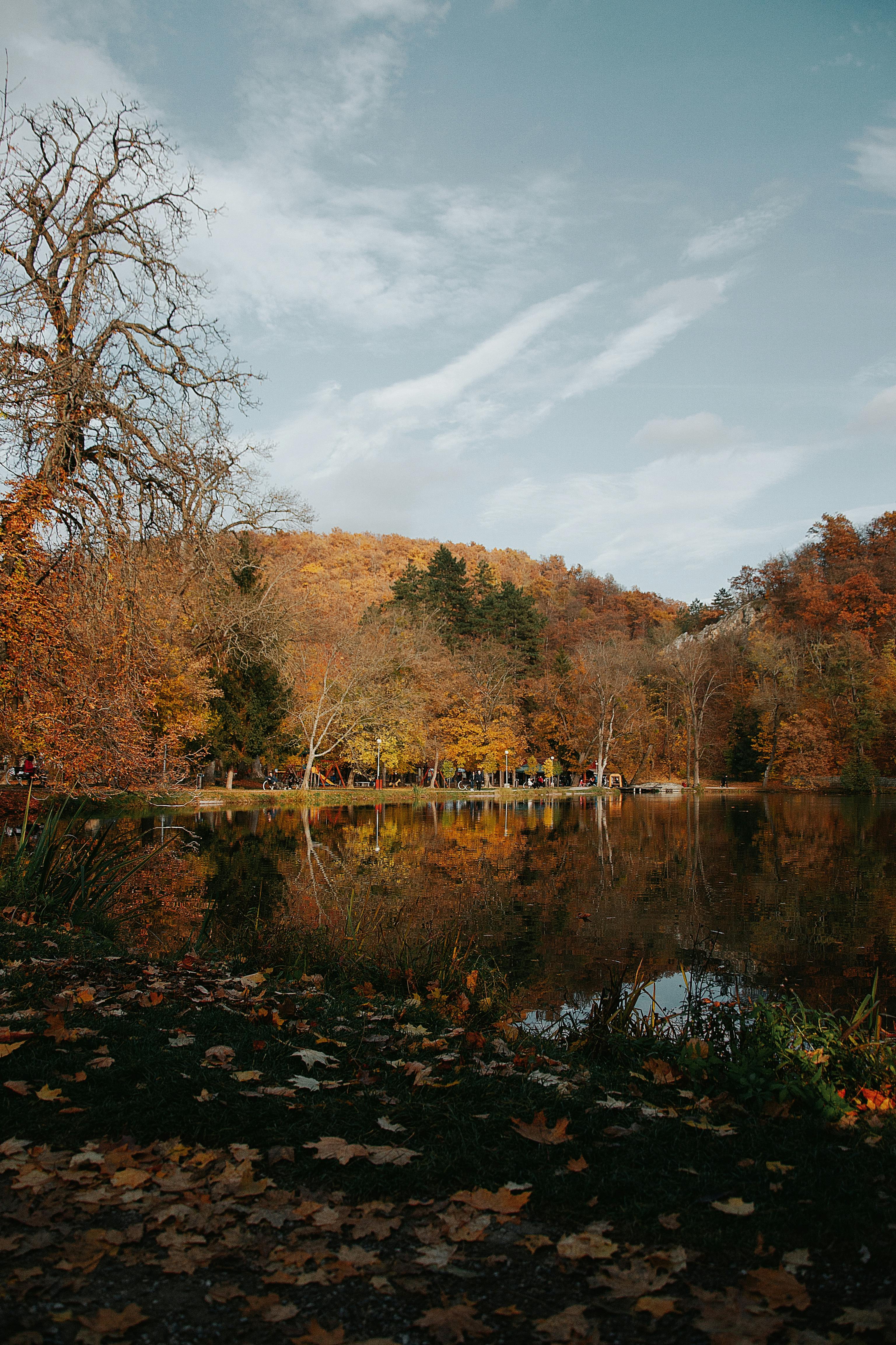 Wallpaper+Freepik Photos, Download The BEST Free Wallpaper+Freepik ...