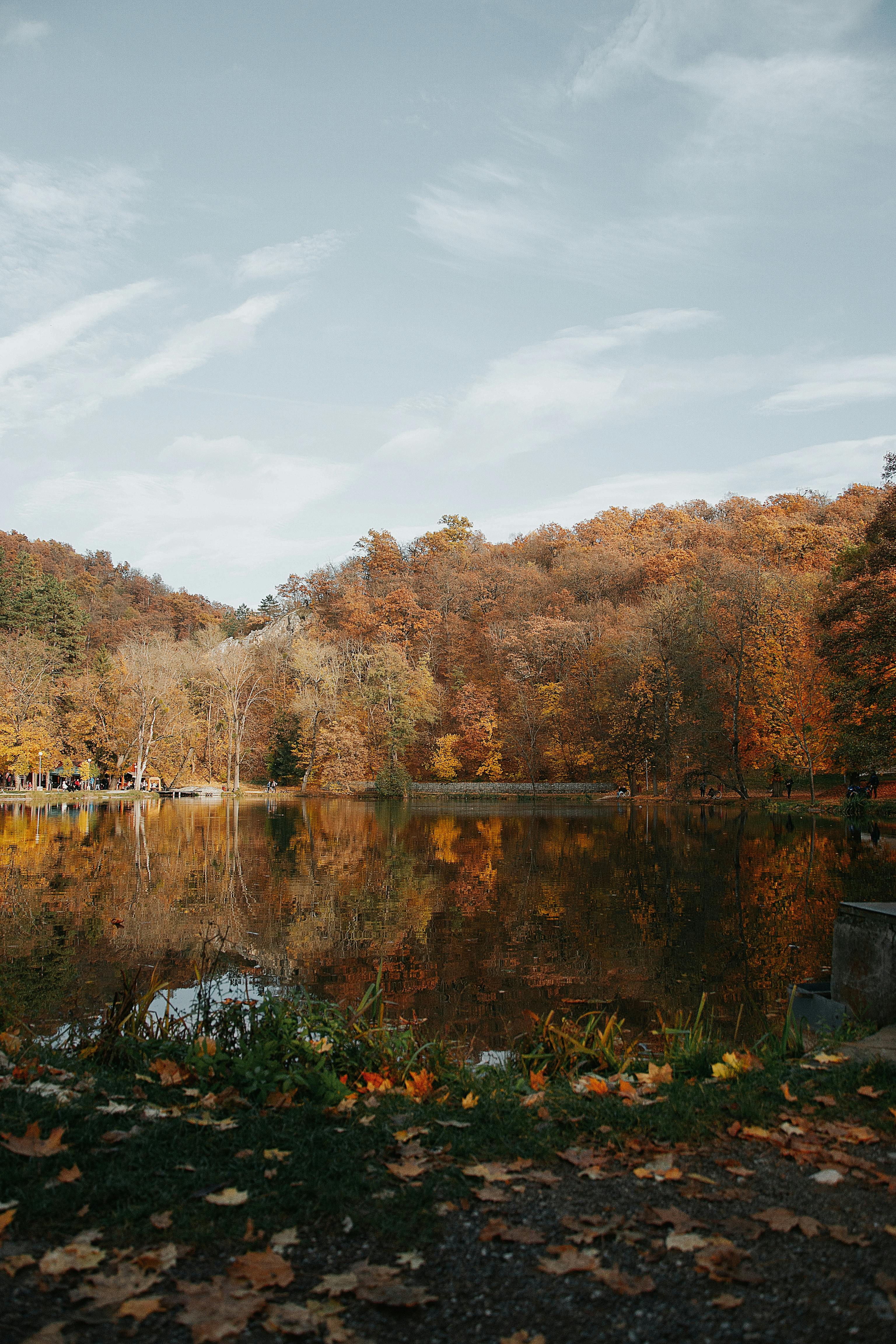 Wallpaper+Freepik Photos, Download The BEST Free Wallpaper+Freepik ...