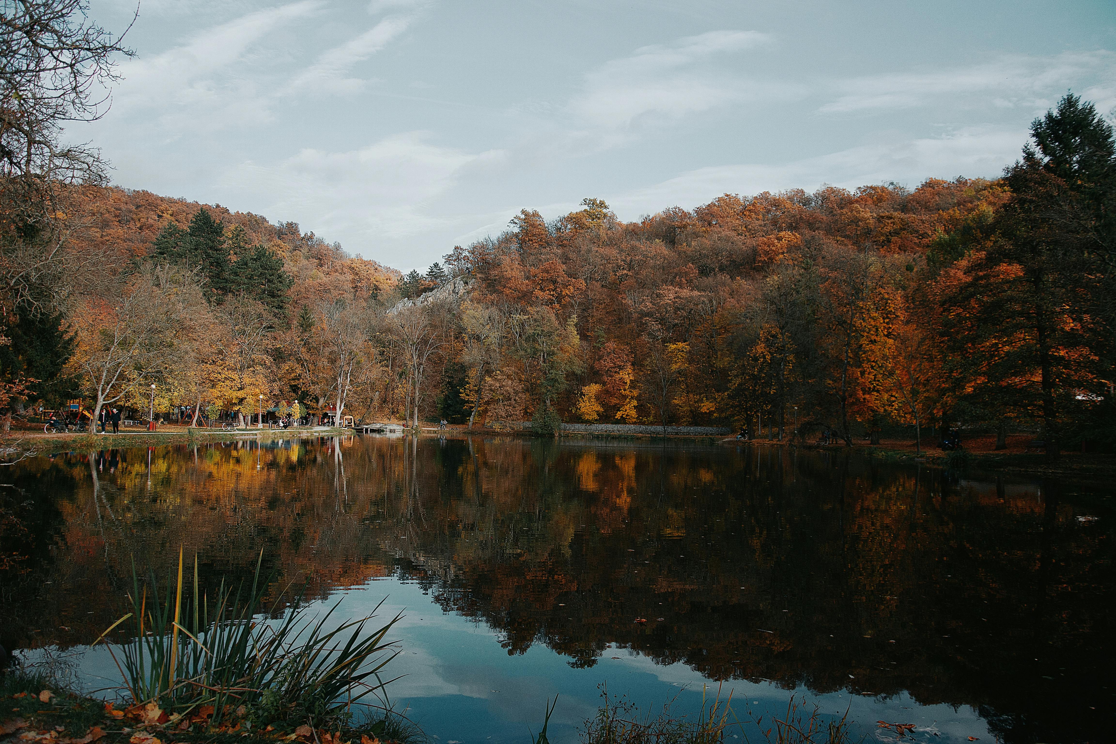 Dreamtime+Images Photos, Download The BEST Free Dreamtime+Images Stock ...