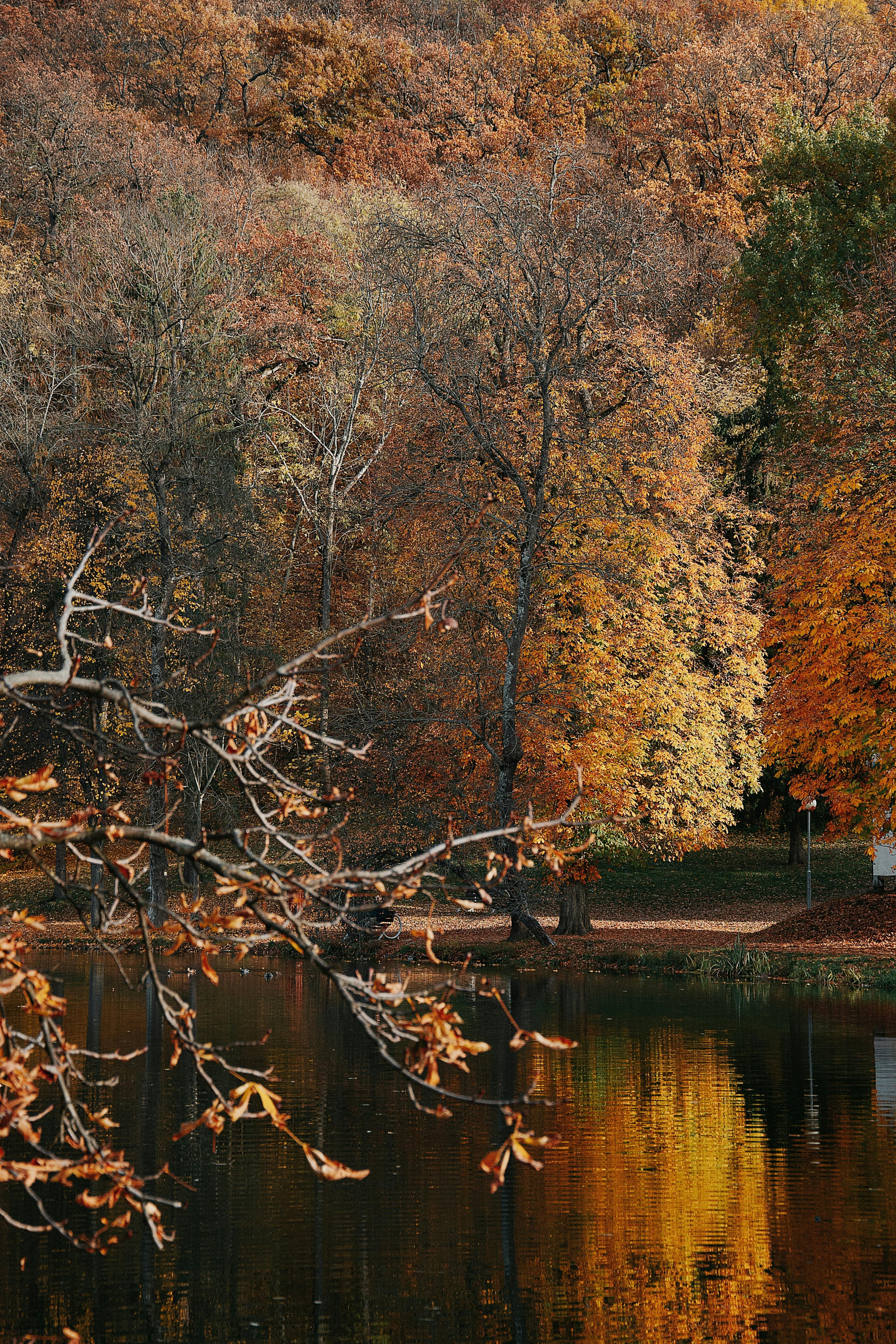 Dreamtime+Images Photos, Download The BEST Free Dreamtime+Images Stock ...