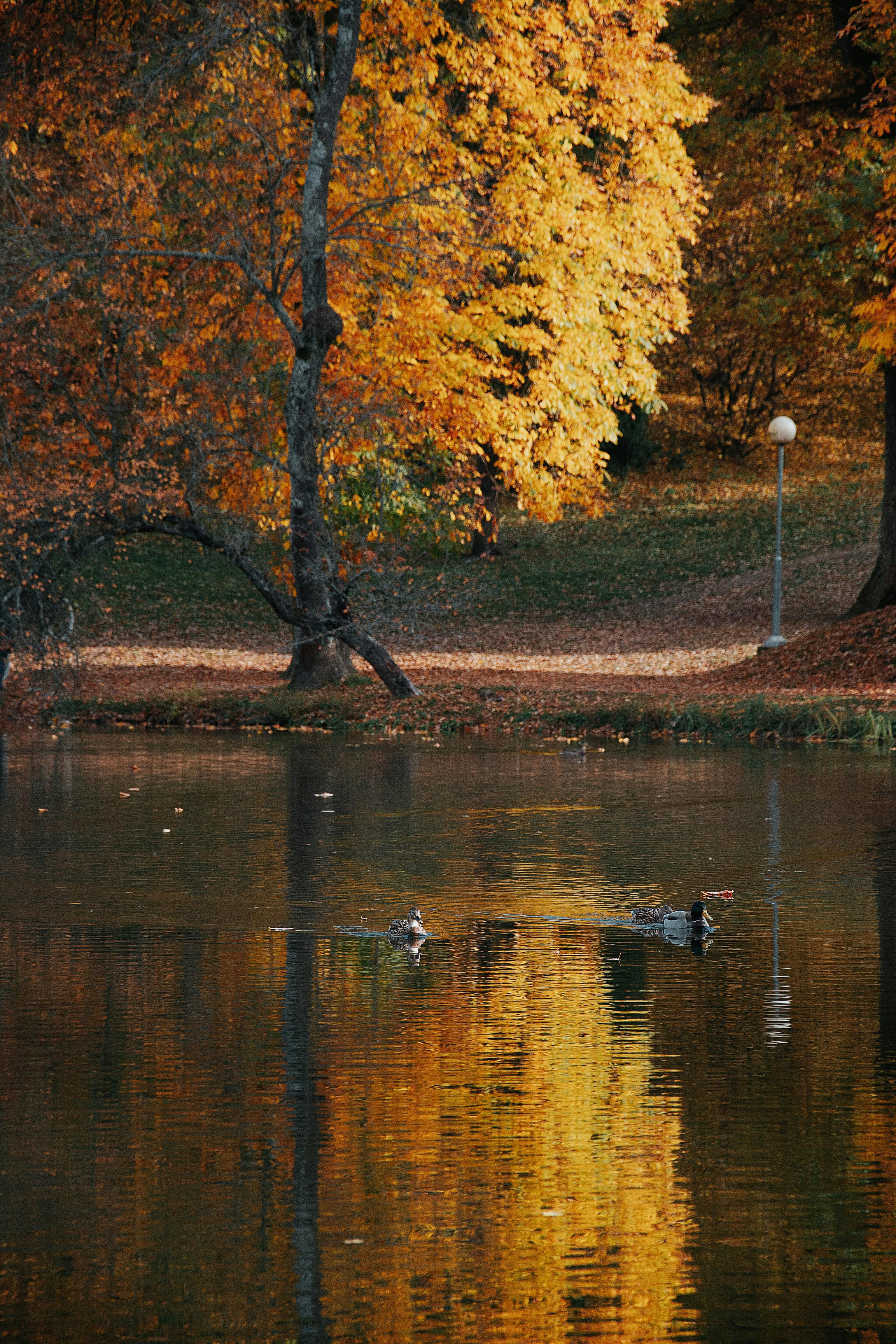 Burning+Chrome+Wallpaper+Hd Photos, Download The BEST Free Burning ...