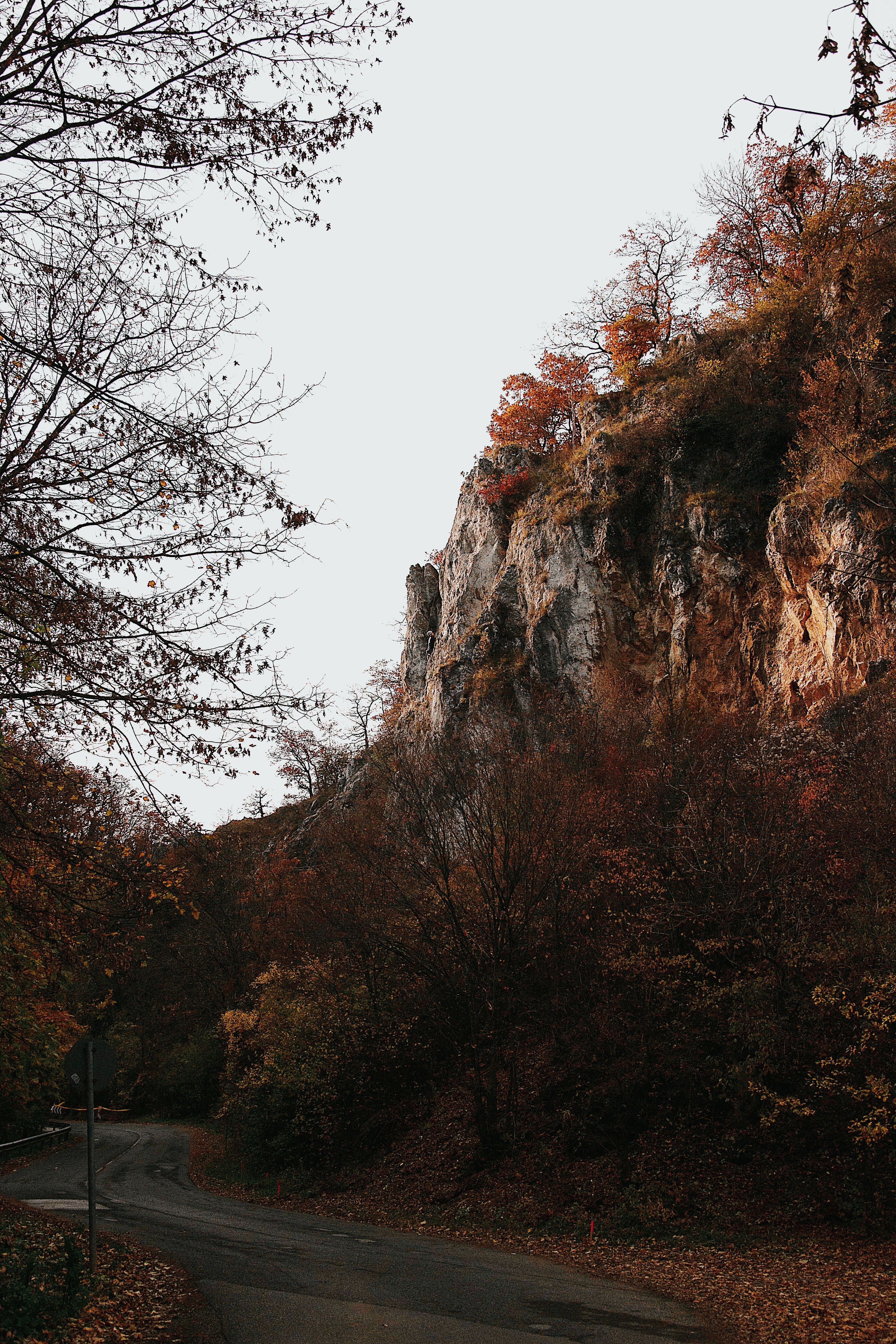 Scenic Autumn View of Hungarian Cliffside · Free Stock Photo