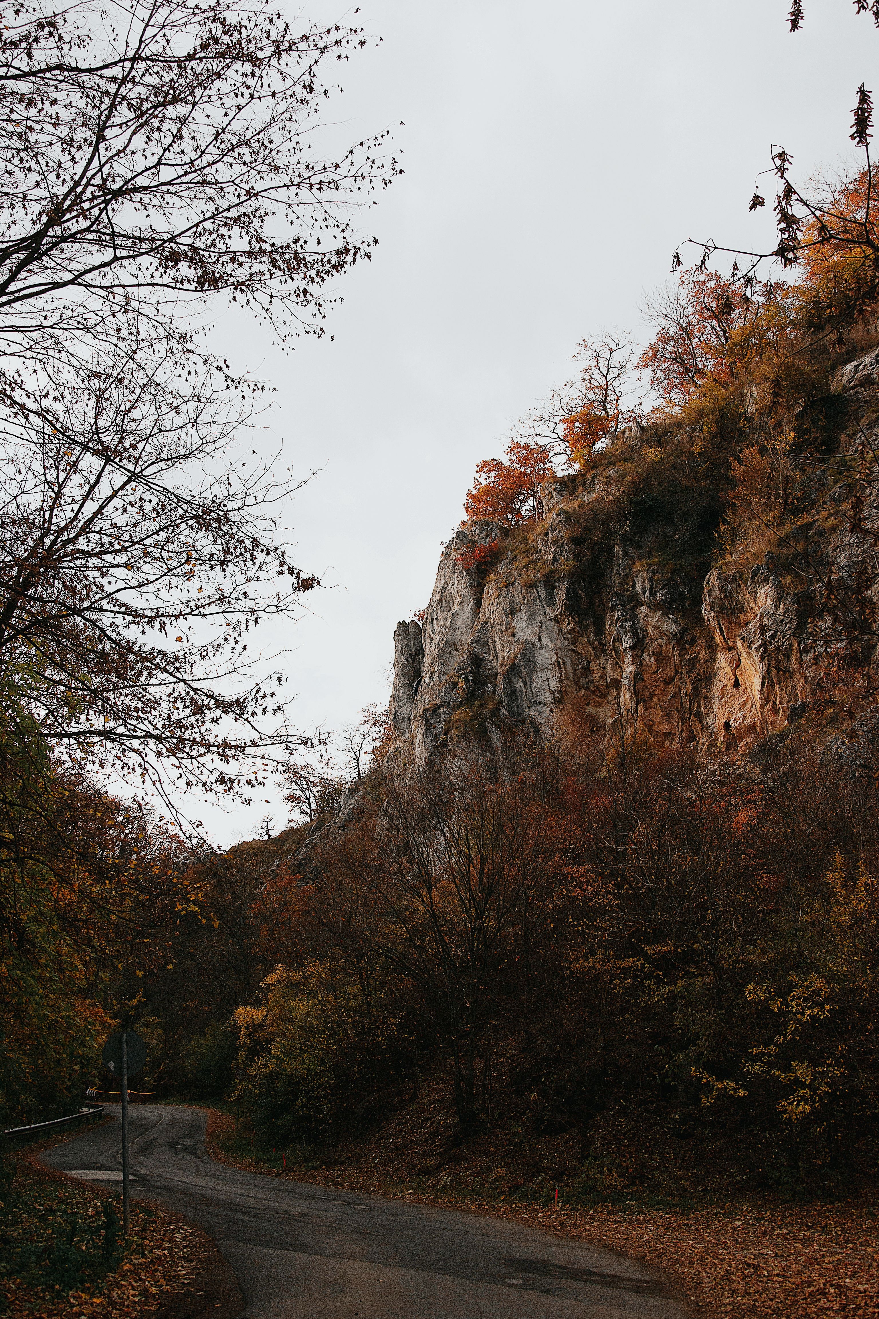 Scenic Autumn View of Limestone Cliff in Hungary · Free Stock Photo