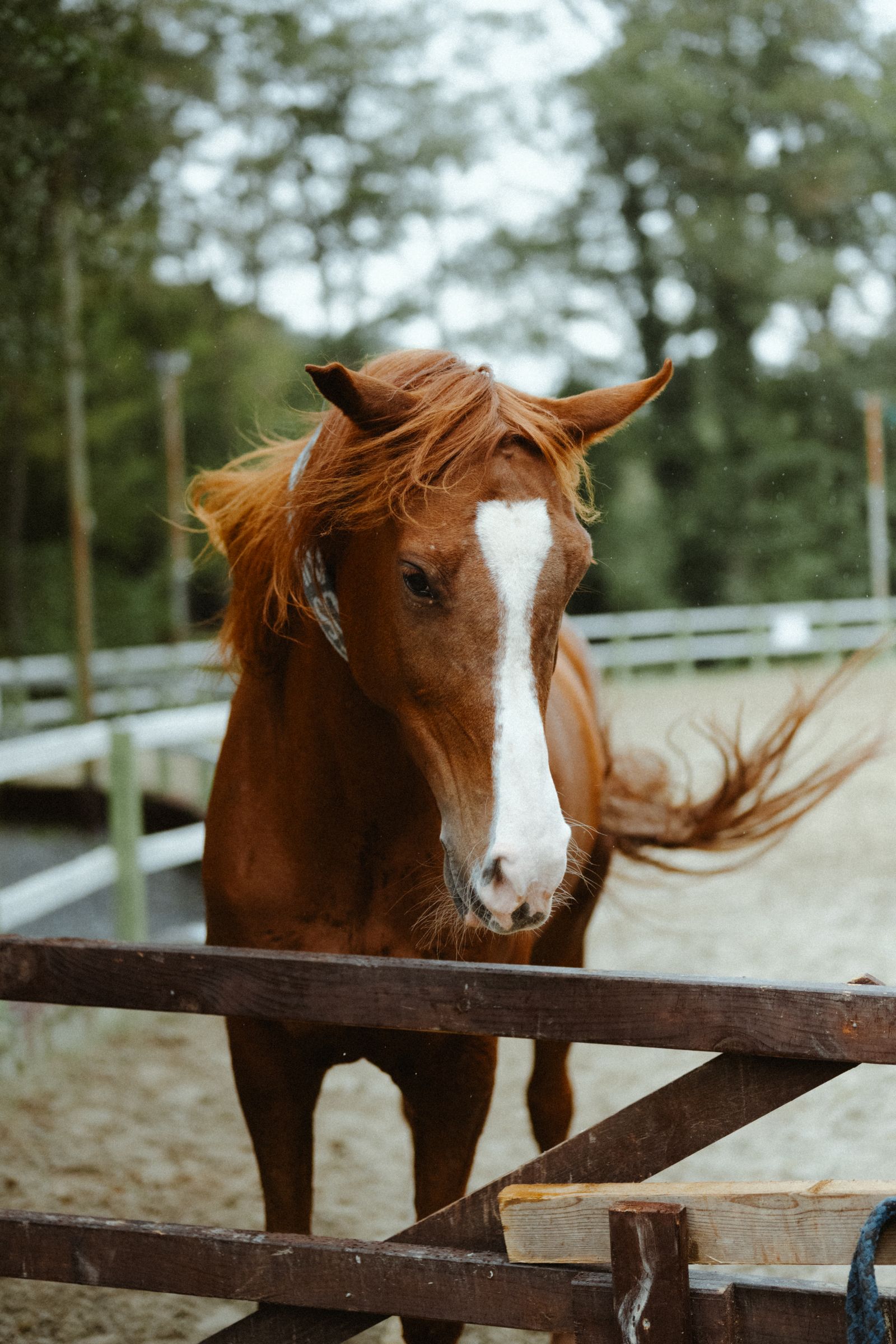 Free Pix Photos, Download The BEST Free Free Pix Stock Photos & HD Images