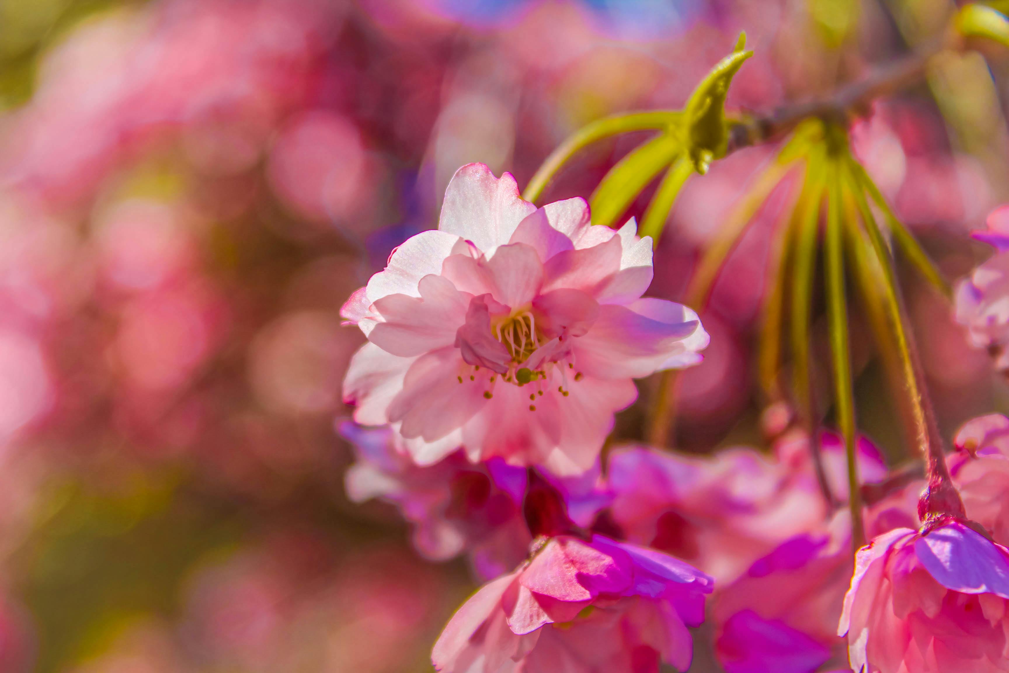 Jonathan Foster – fotografi