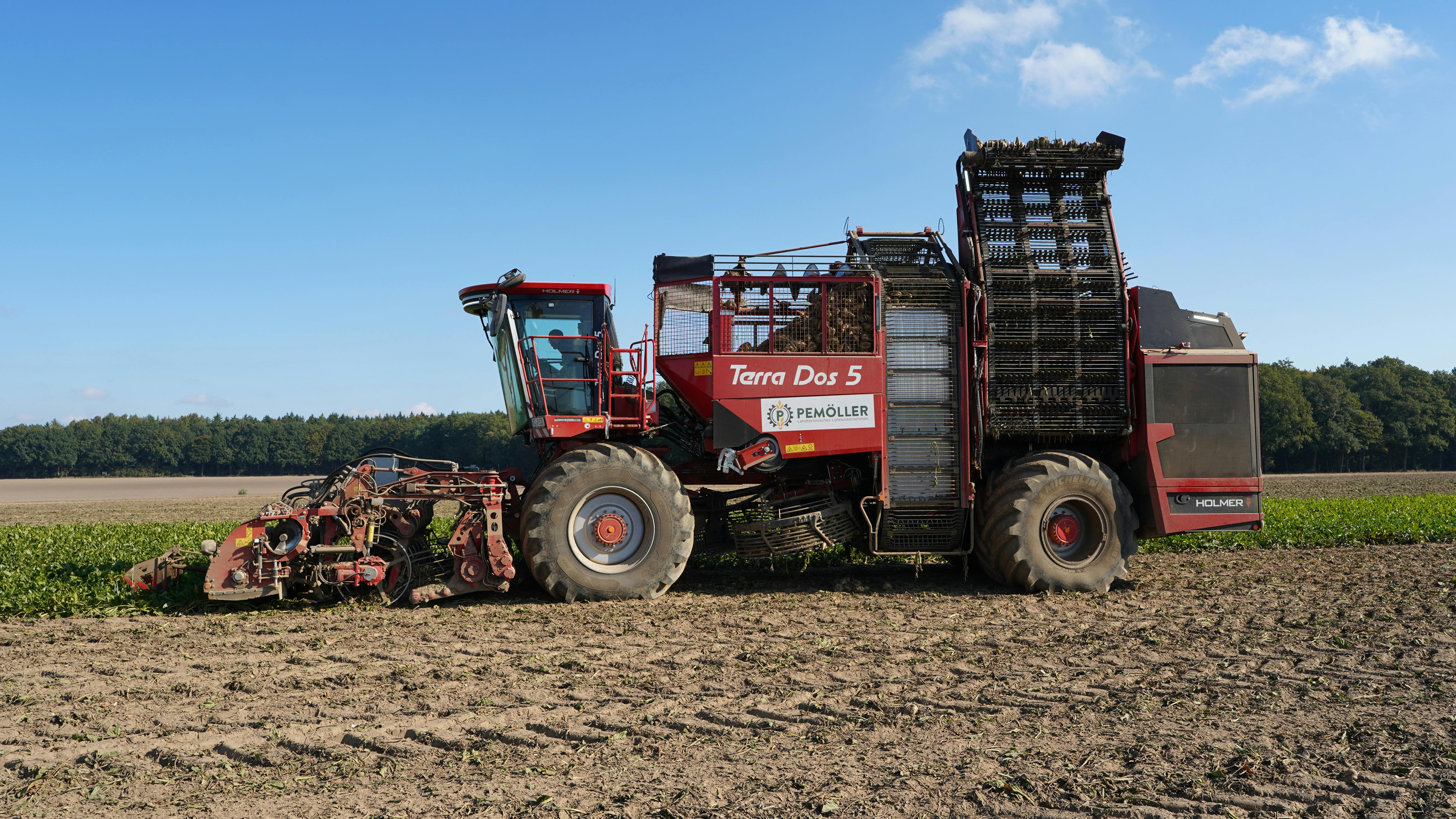 Aura Farming Photos, Download The BEST Free Aura Farming Stock Photos ...