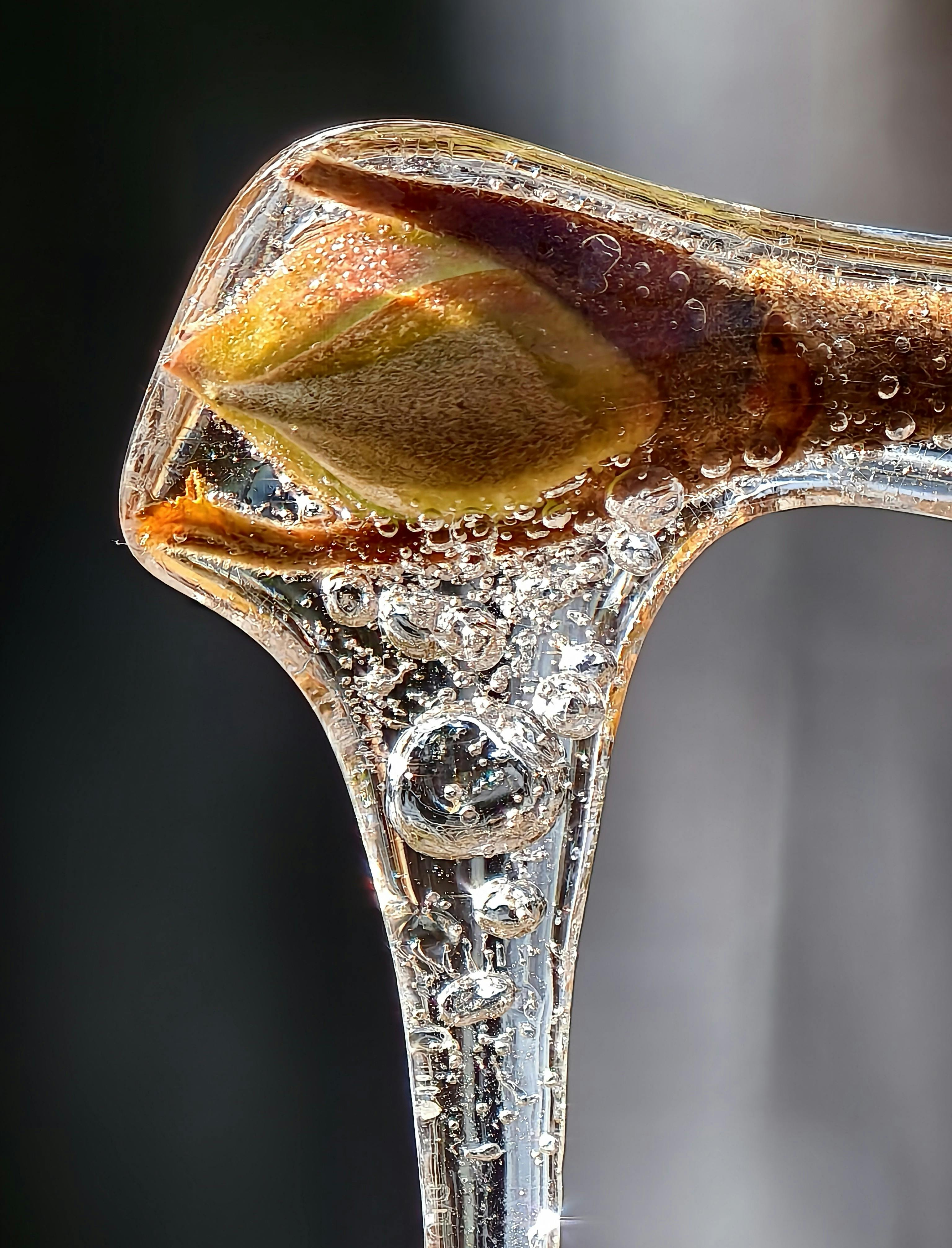 Adorable+Tween+Buds Photos, Download The BEST Free Adorable+Tween+Buds ...