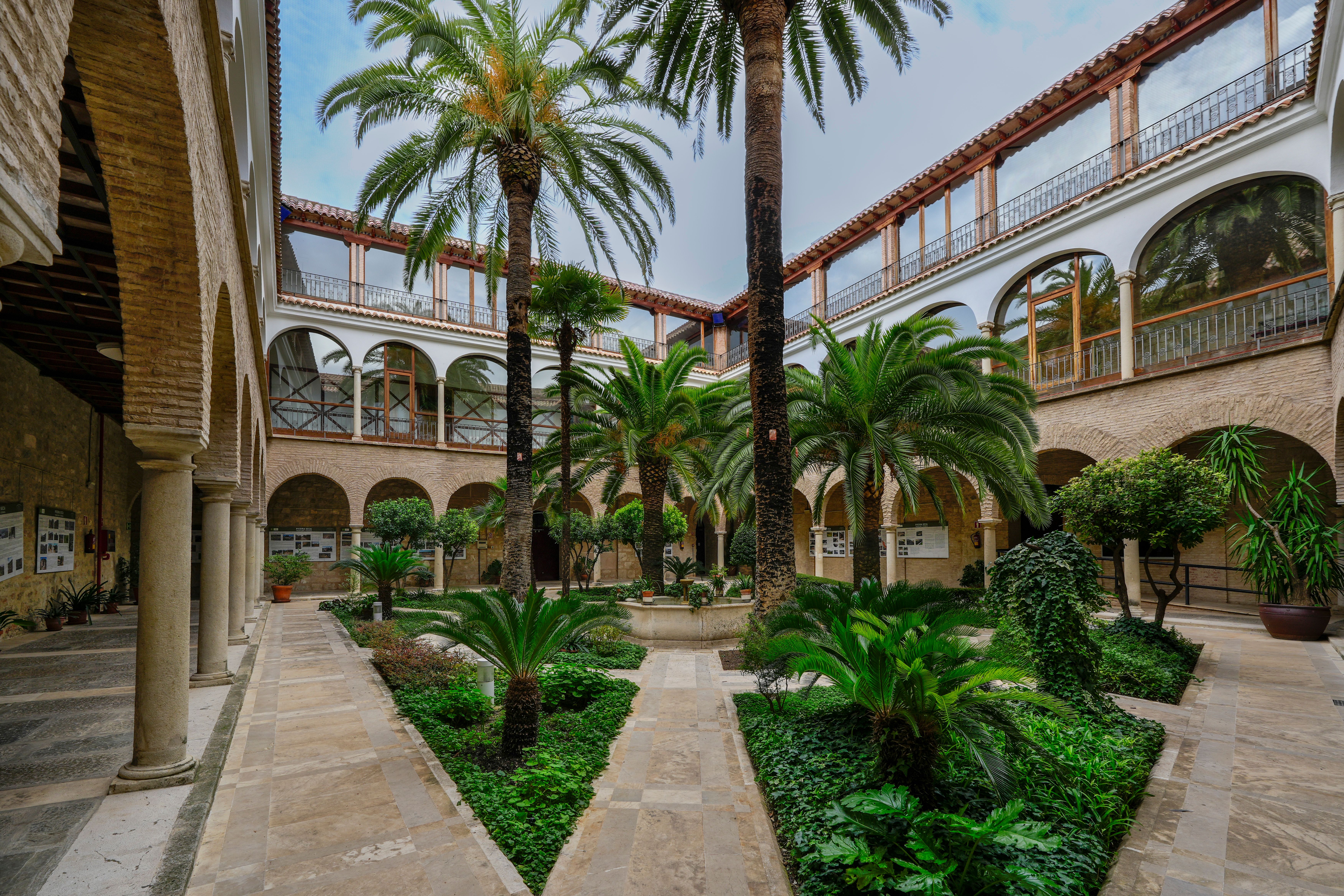 Historic Courtyard with Palm Trees in Jaén · Free Stock Photo