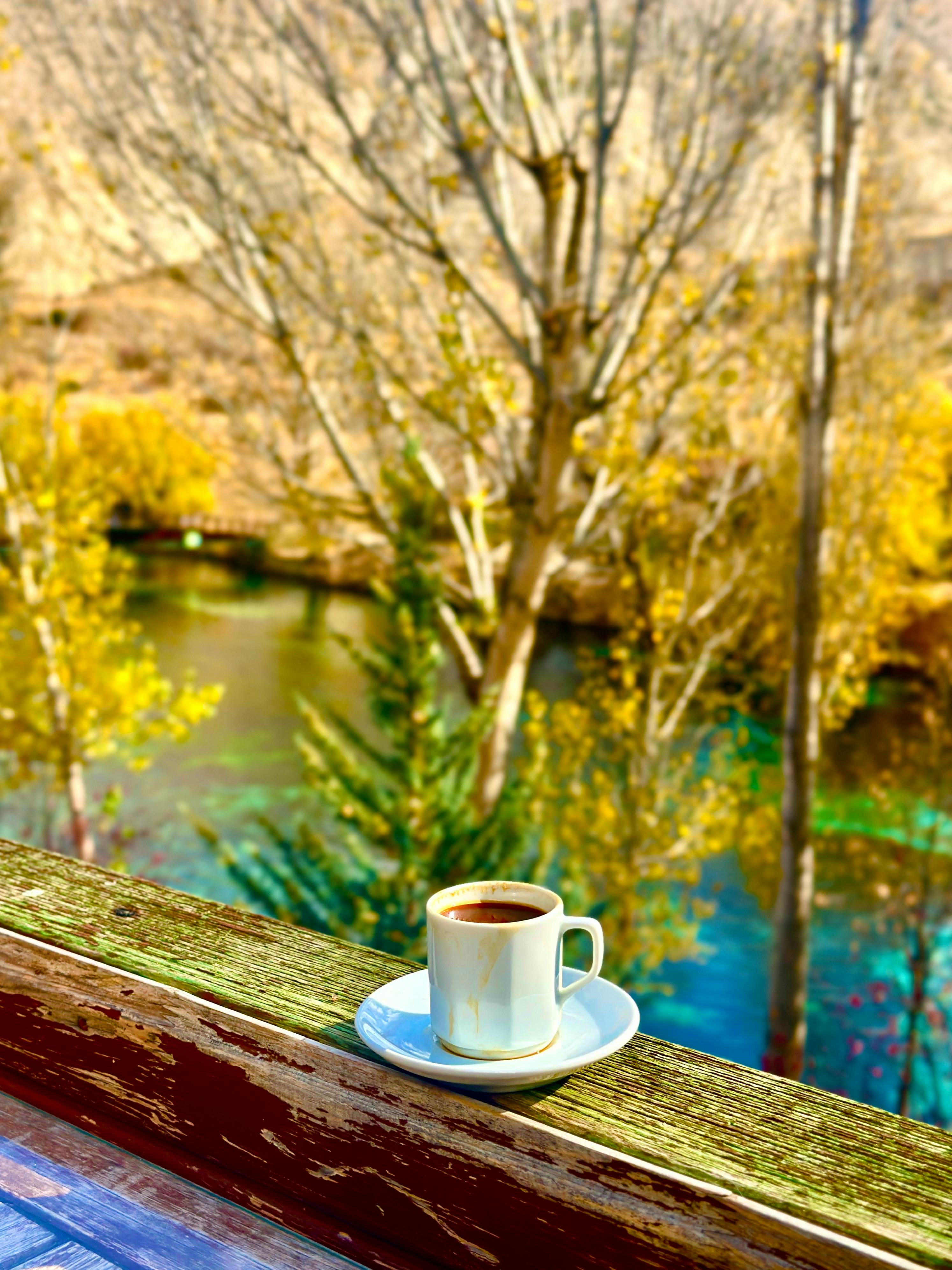 Fall Morning Coffee Photos, Download The BEST Free Fall Morning Coffee ...