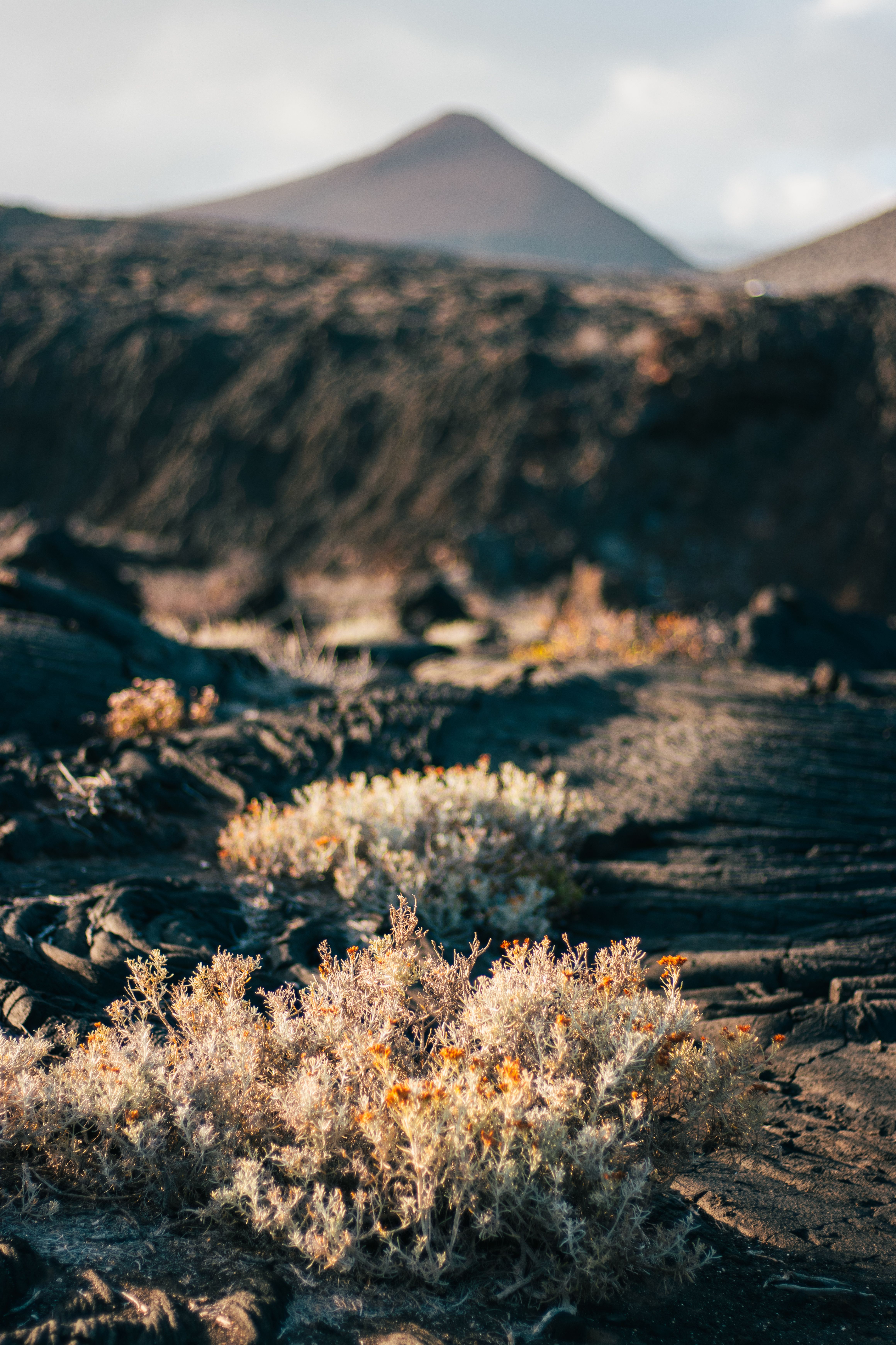 Barren Landscape Photos, Download The BEST Free Barren Landscape Stock ...