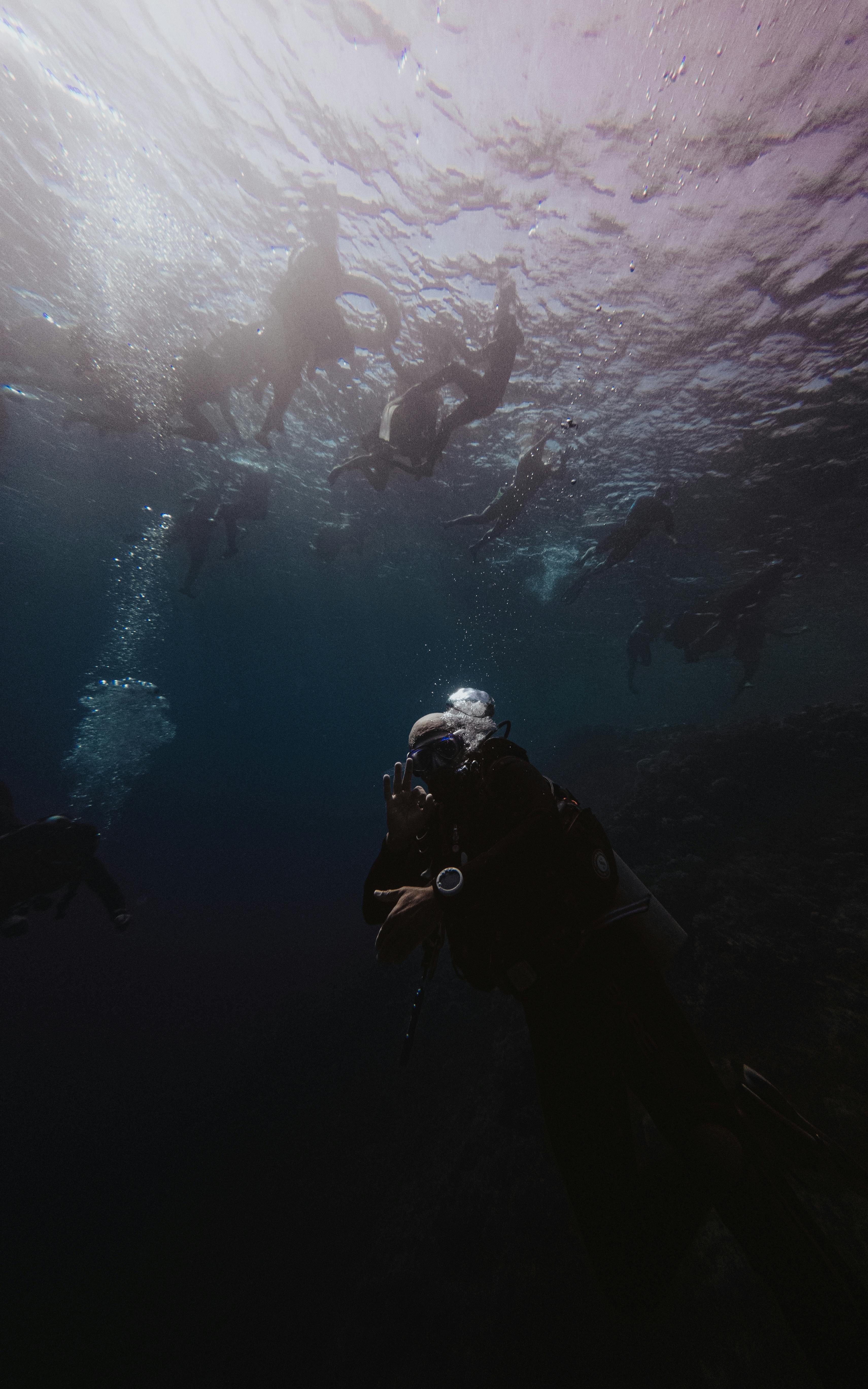 Deep Ocean Photos, Download The BEST Free Deep Ocean Stock Photos & HD ...