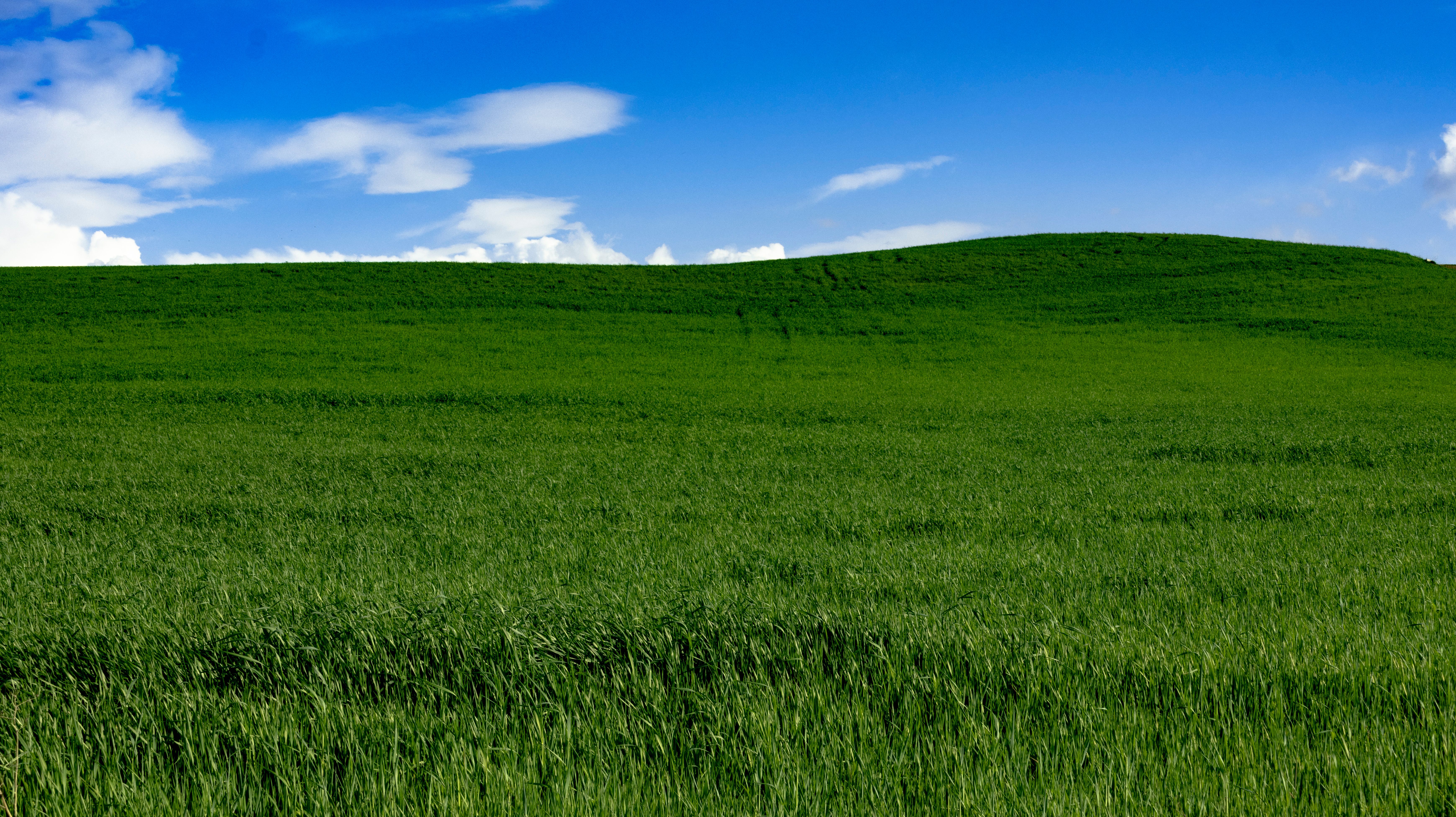 Grass And Sky Background Photos, Download The BEST Free Grass And Sky ...