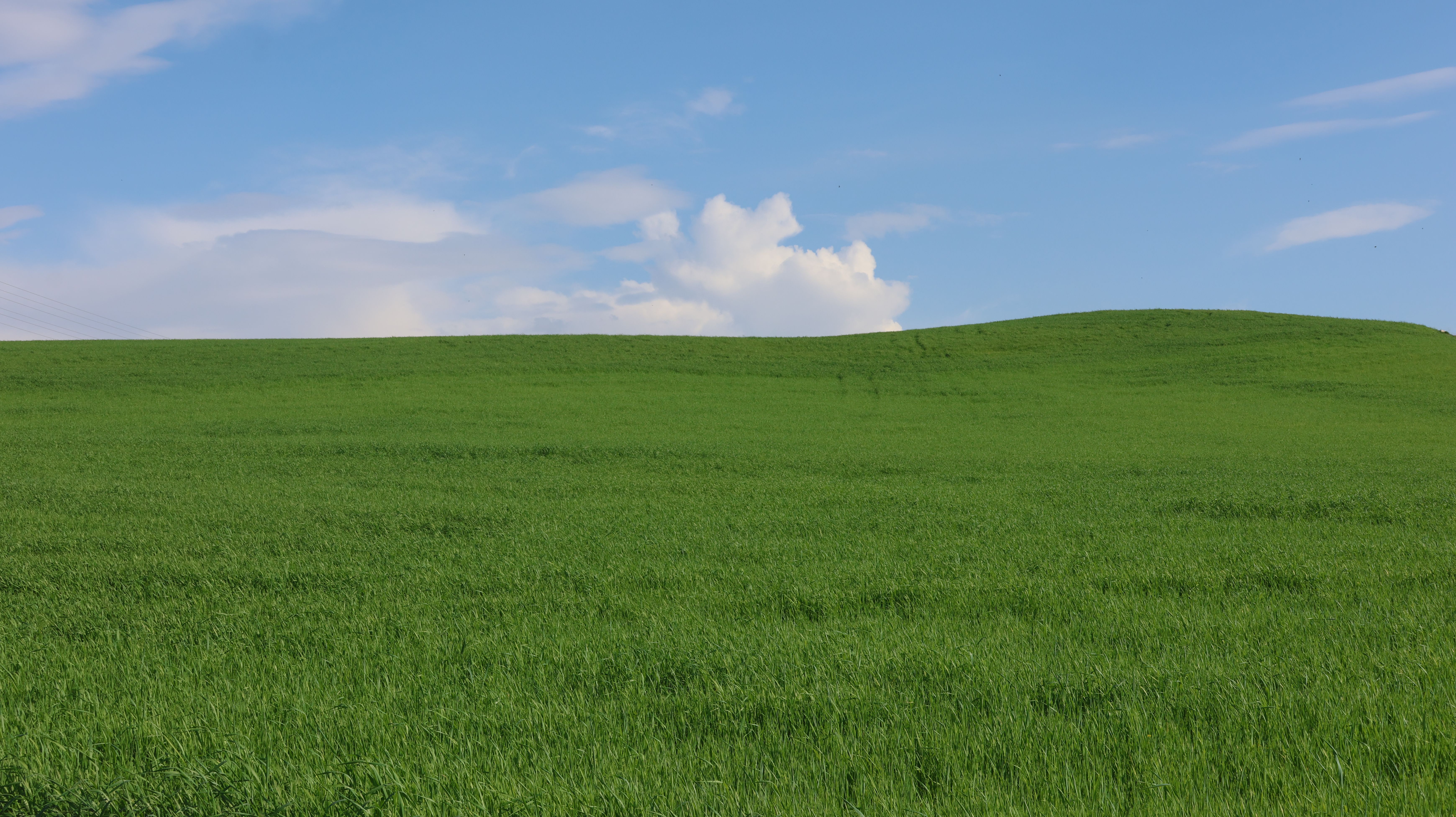 Grass And Sky Background Photos, Download The BEST Free Grass And Sky ...