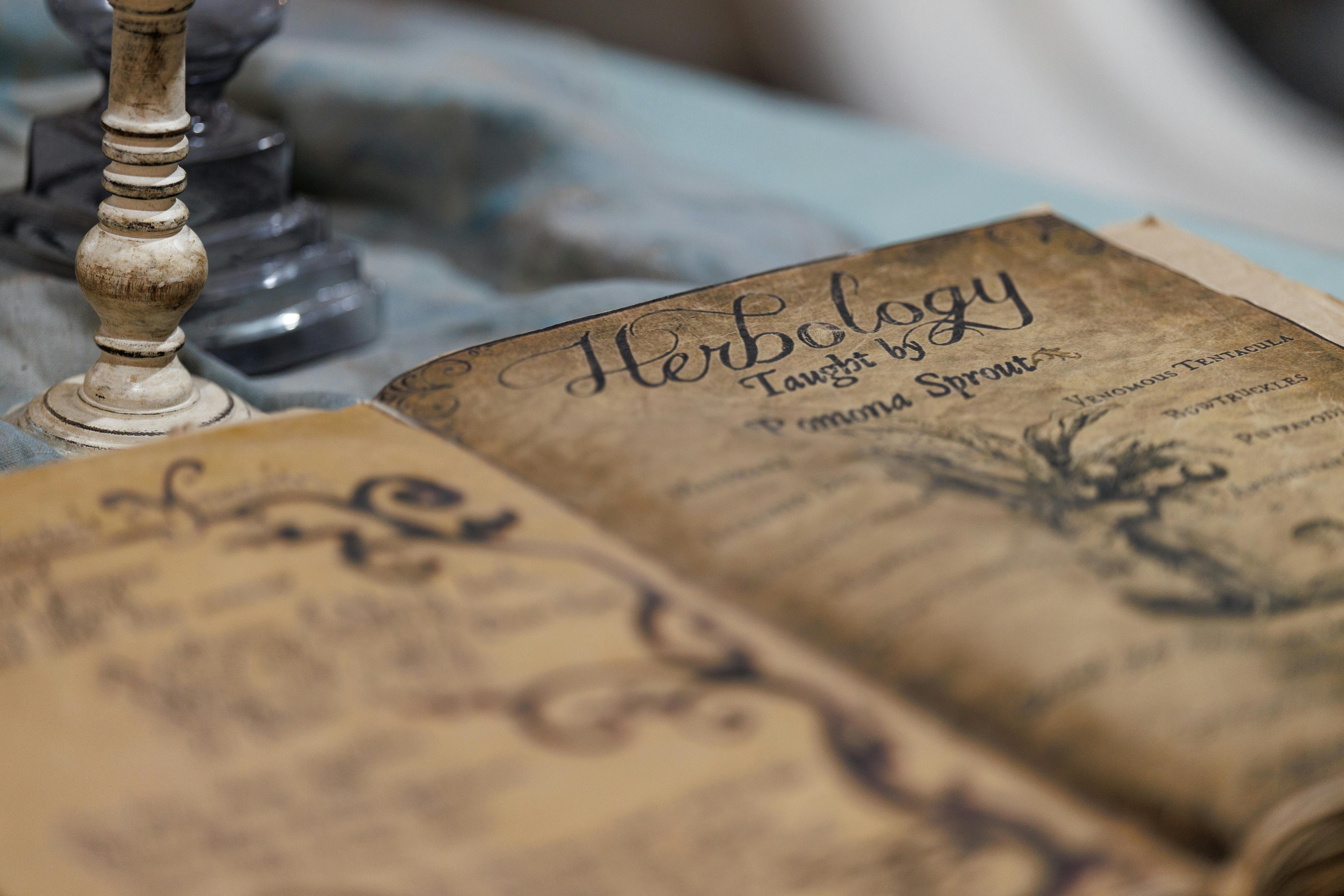 Script Photos, Download The BEST Free Script Stock Photos & HD Images