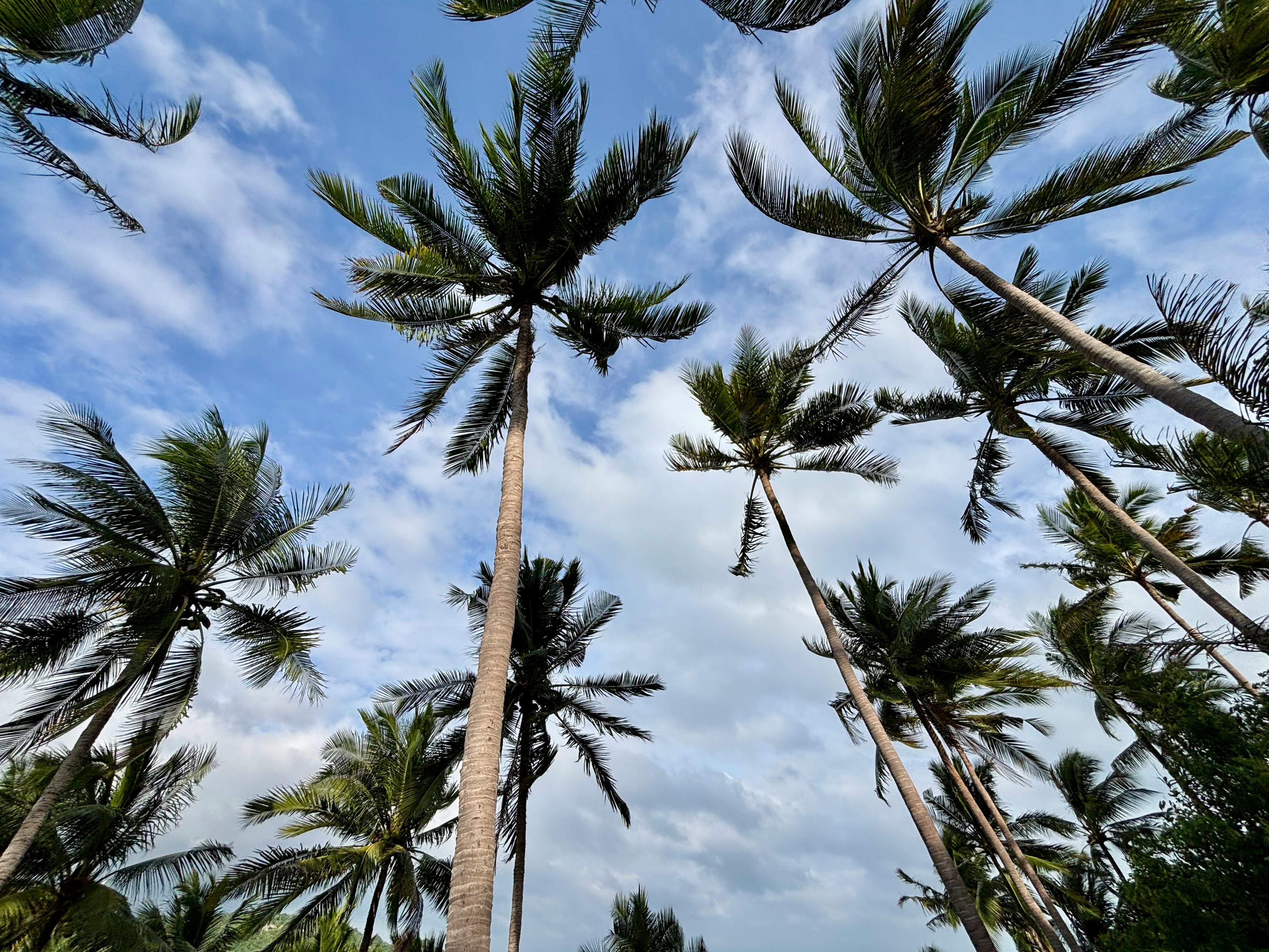 Teen Models Top 100 List Yandex Photos, Download The BEST Free Teen ...