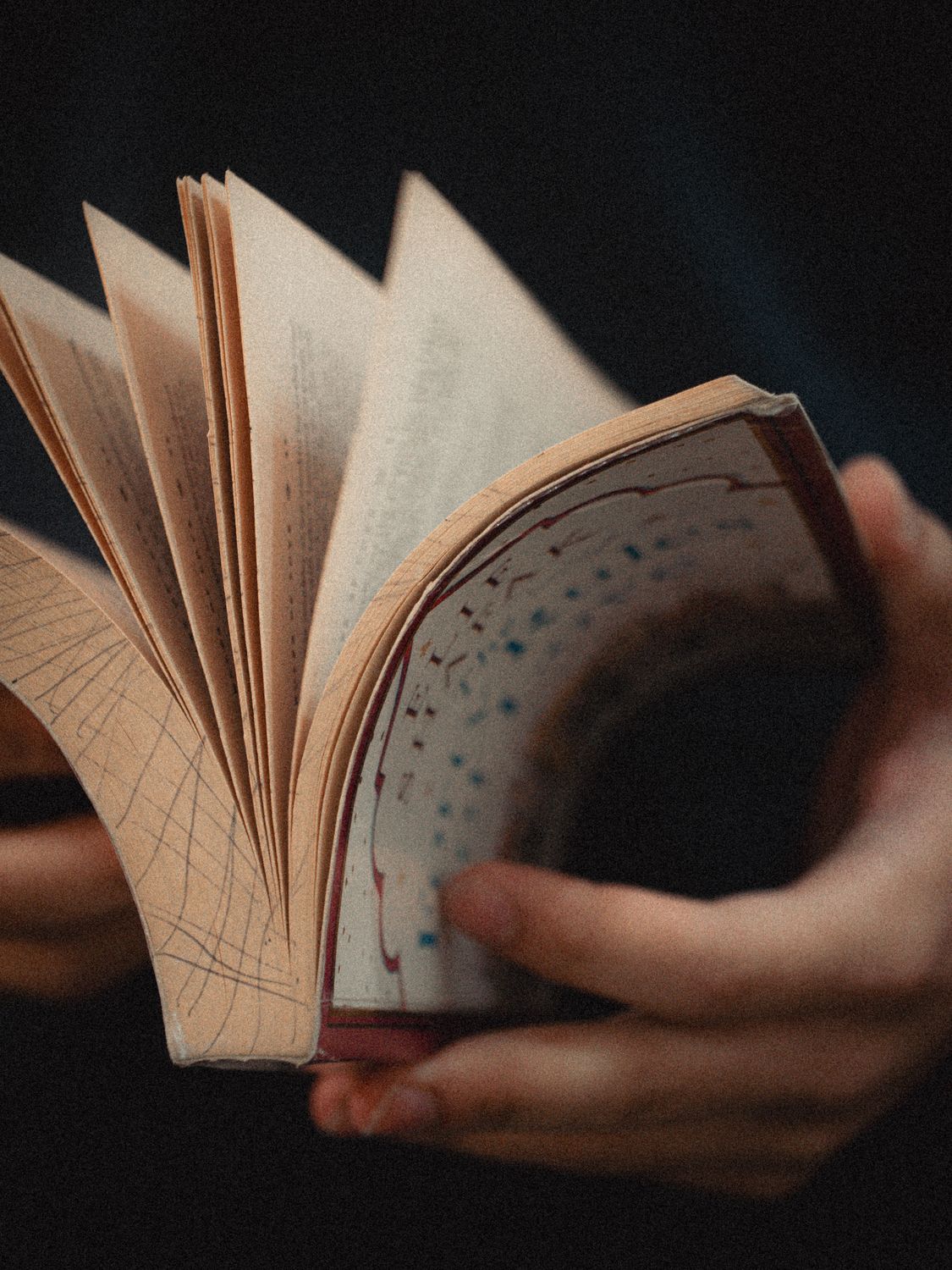 Gros Plan Sur Des Mains Tenant Un Carnet De Croquis Ouvert · Photo gratuite