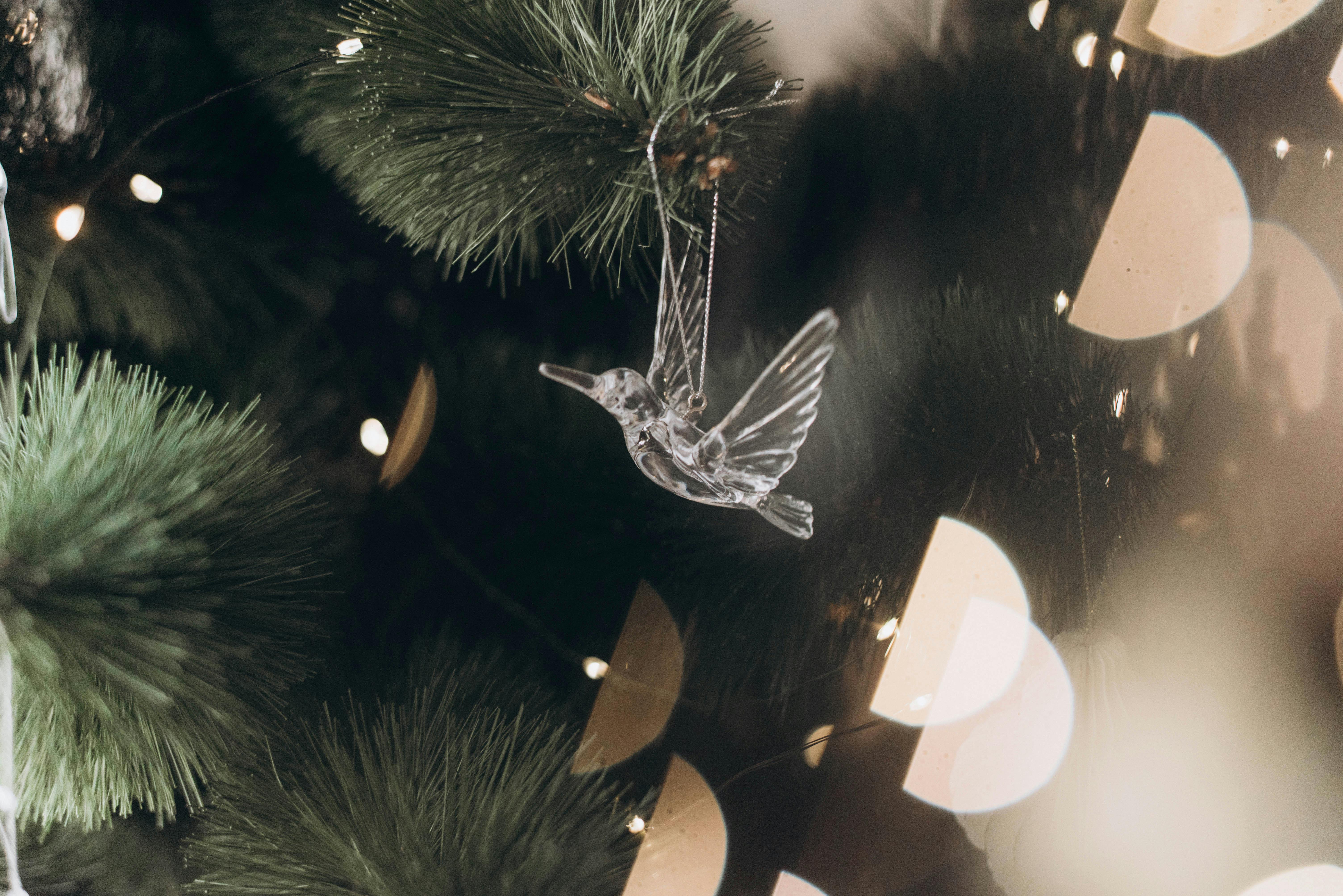 Crystal Rae+Si̇ki̇ş Photos, Download The BEST Free Crystal Rae+Si̇ki̇ş ...