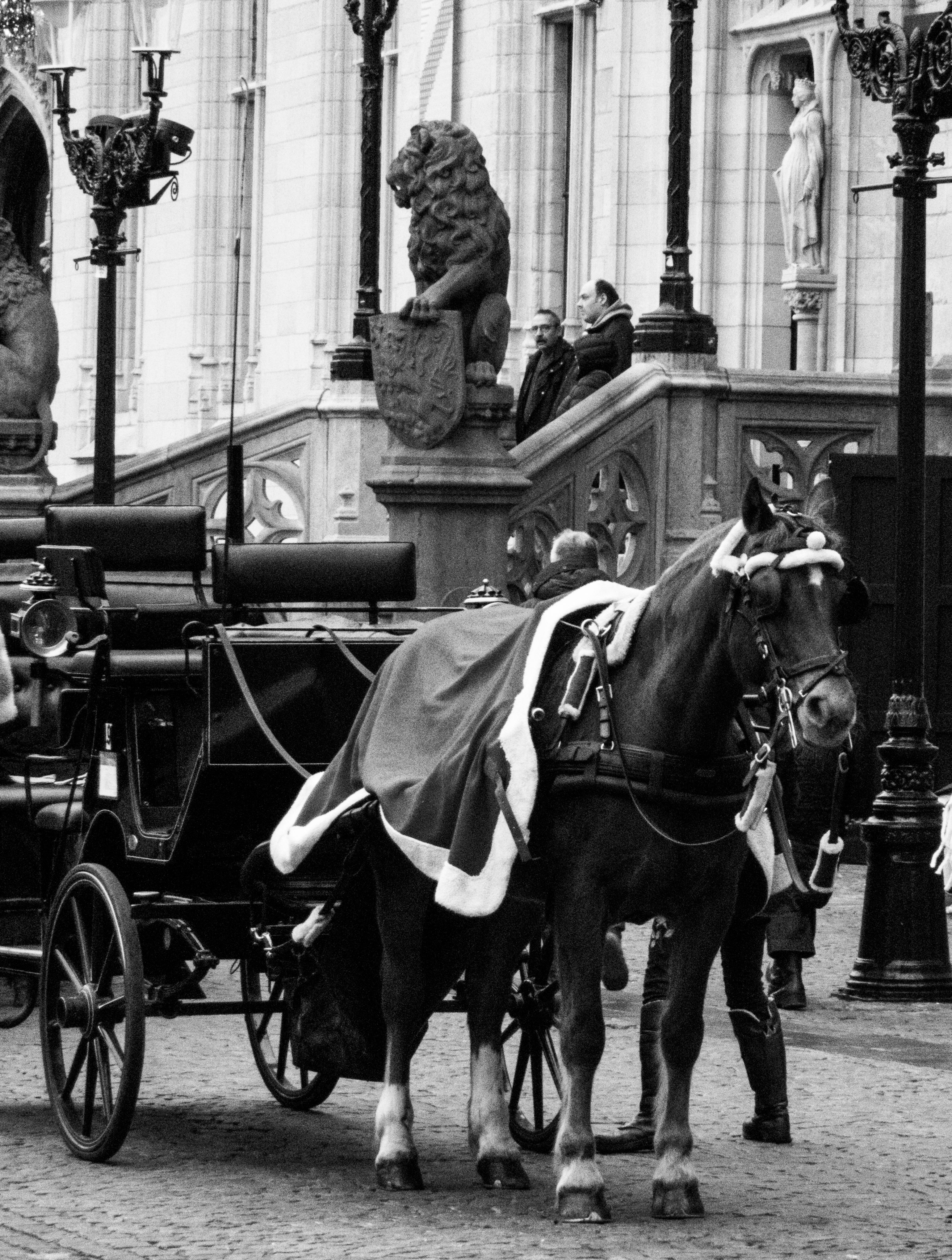 Monochrome Photo of Man in Carriage · Free Stock Photo