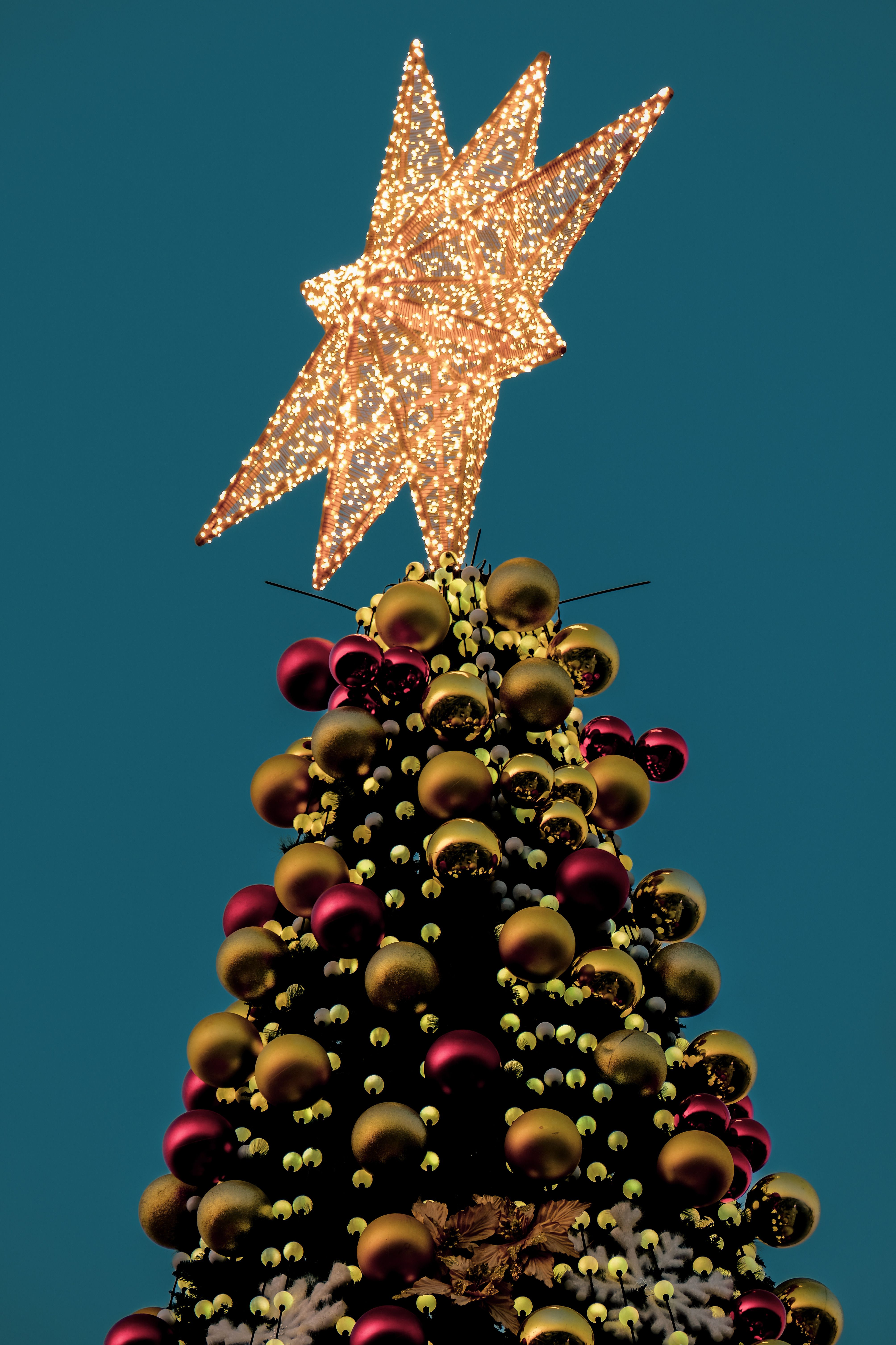 Sparkling Christmas Tree with Star Topper · Free Stock Photo