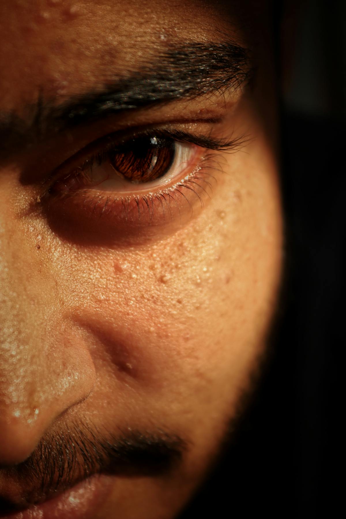 Human Eye Photos, Download The BEST Free Human Eye Stock Photos & HD Images