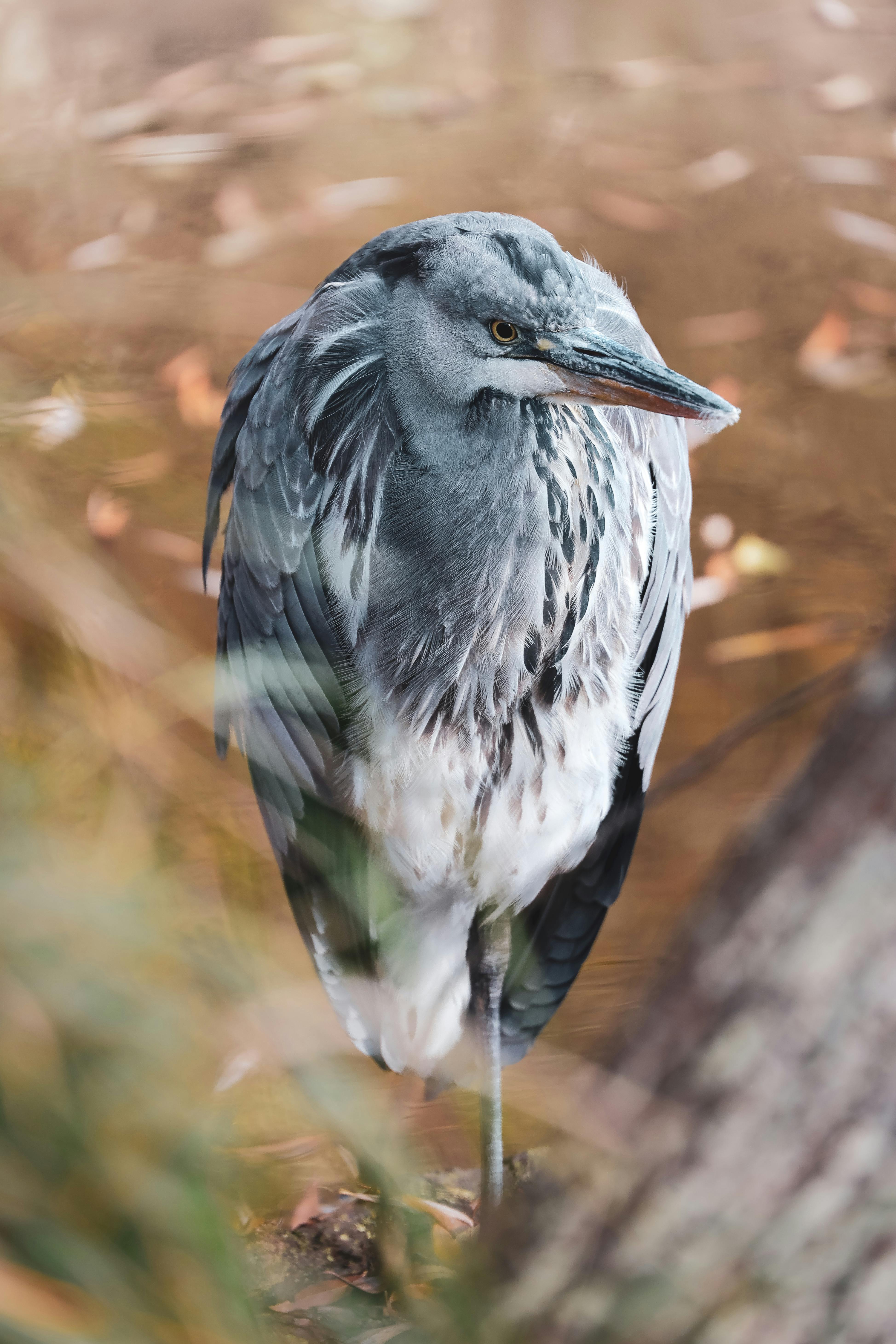 Talwinder Wallpaper Photos, Download The BEST Free Talwinder Wallpaper ...