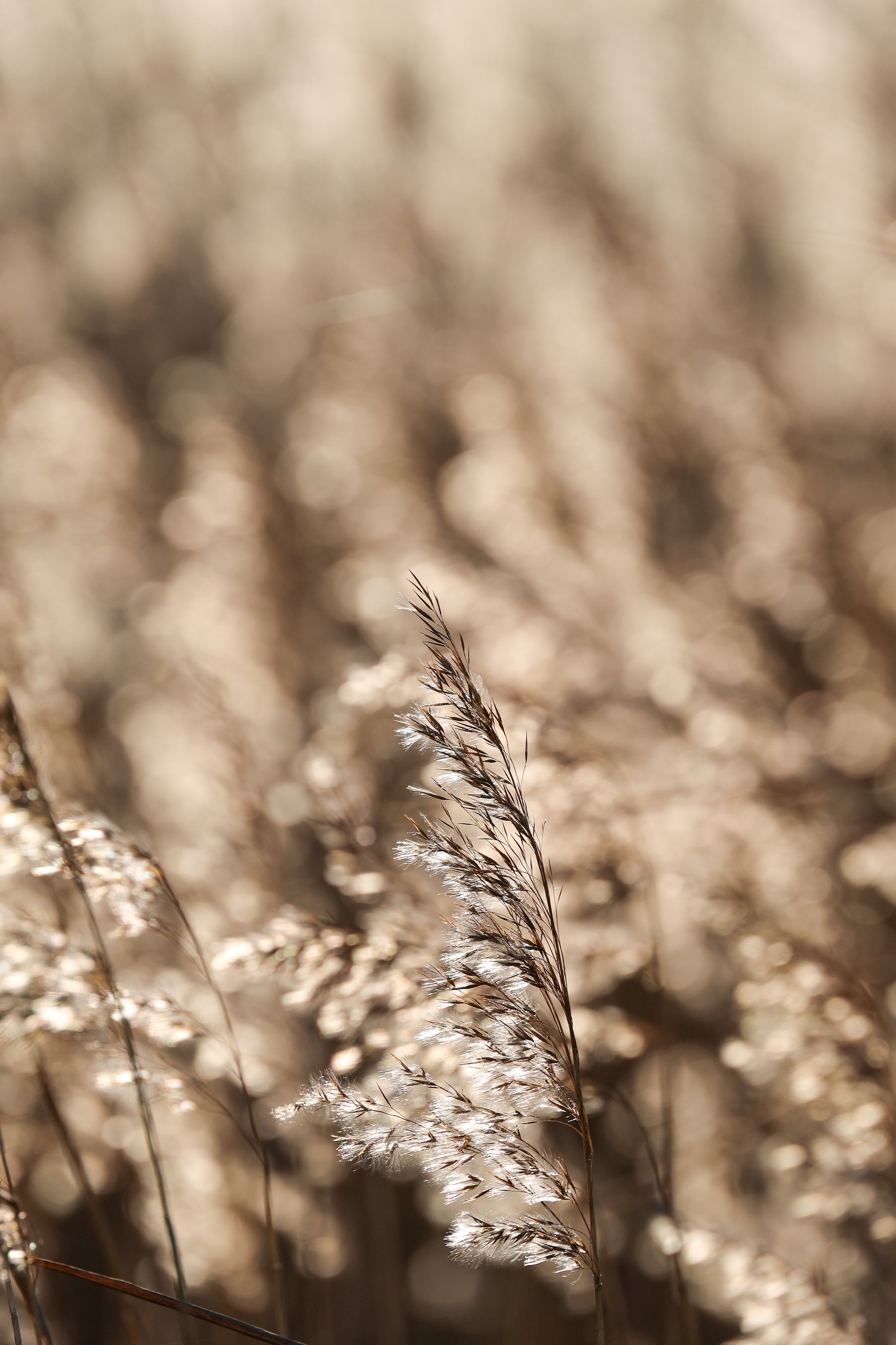 Preaching Background Photos, Download The BEST Free Preaching ...