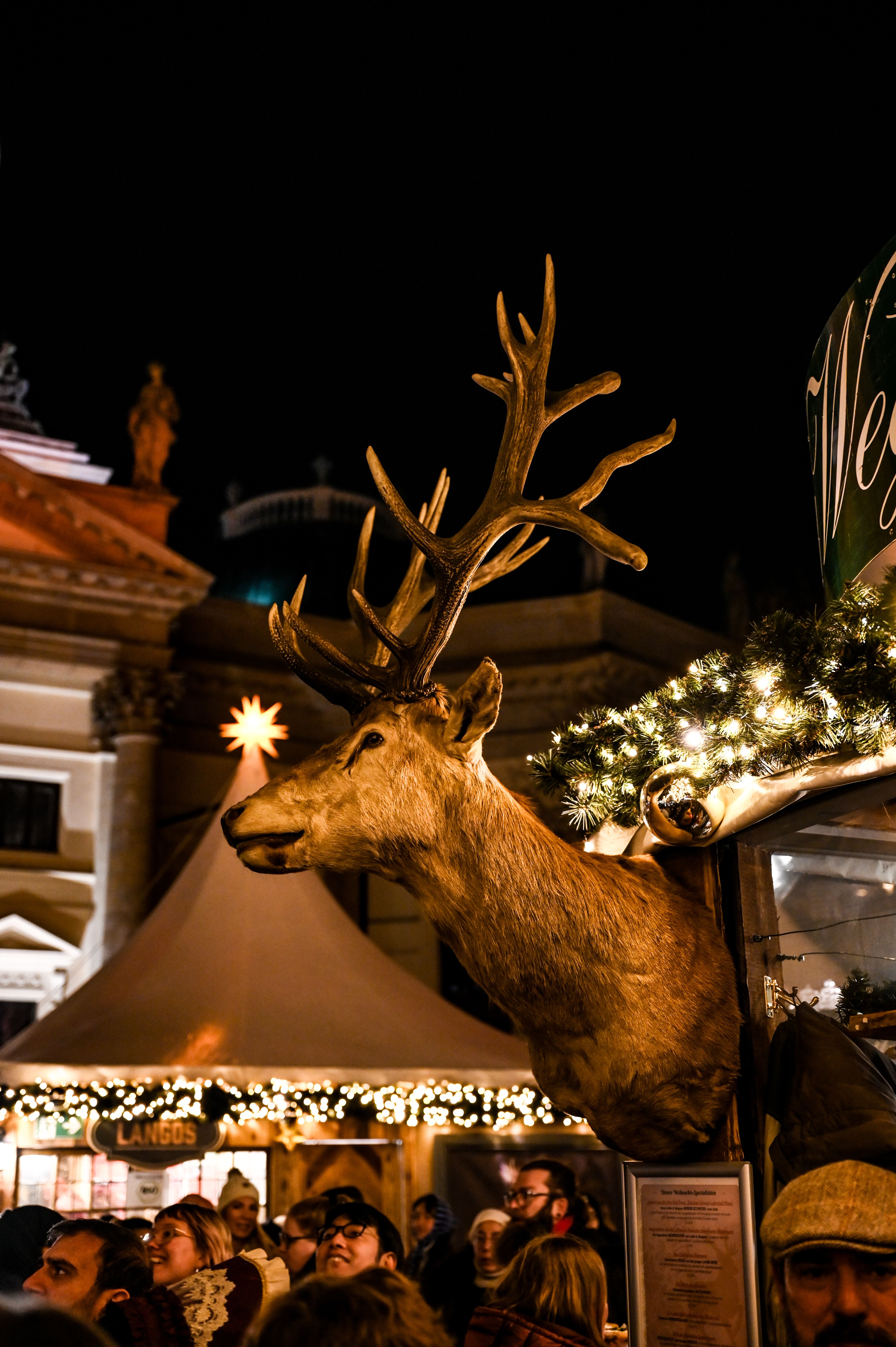 Cardboard Antlers Photos, Download The BEST Free Cardboard Antlers ...