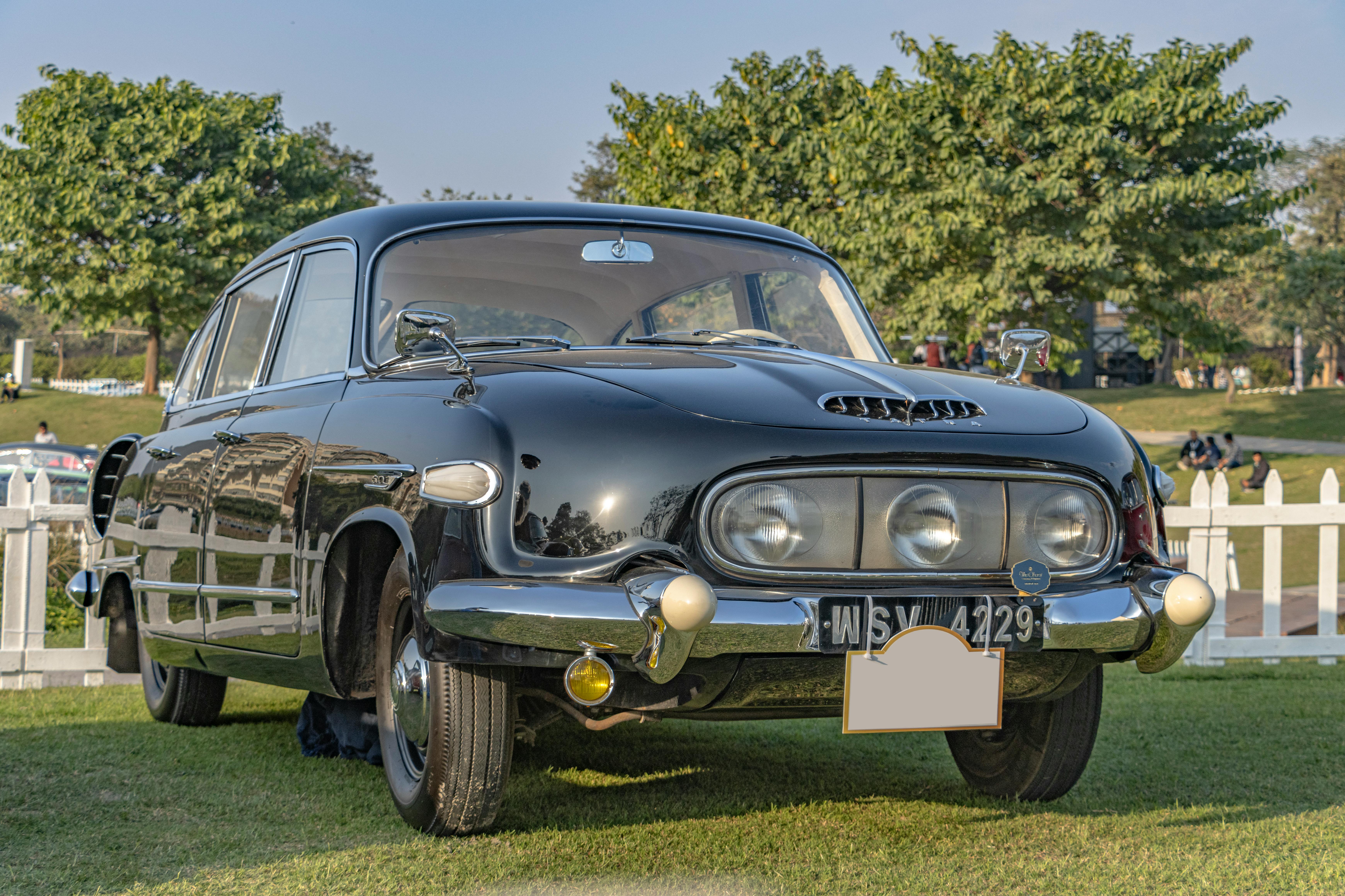 Therian Wallpaper Photos, Download The BEST Free Therian Wallpaper ...