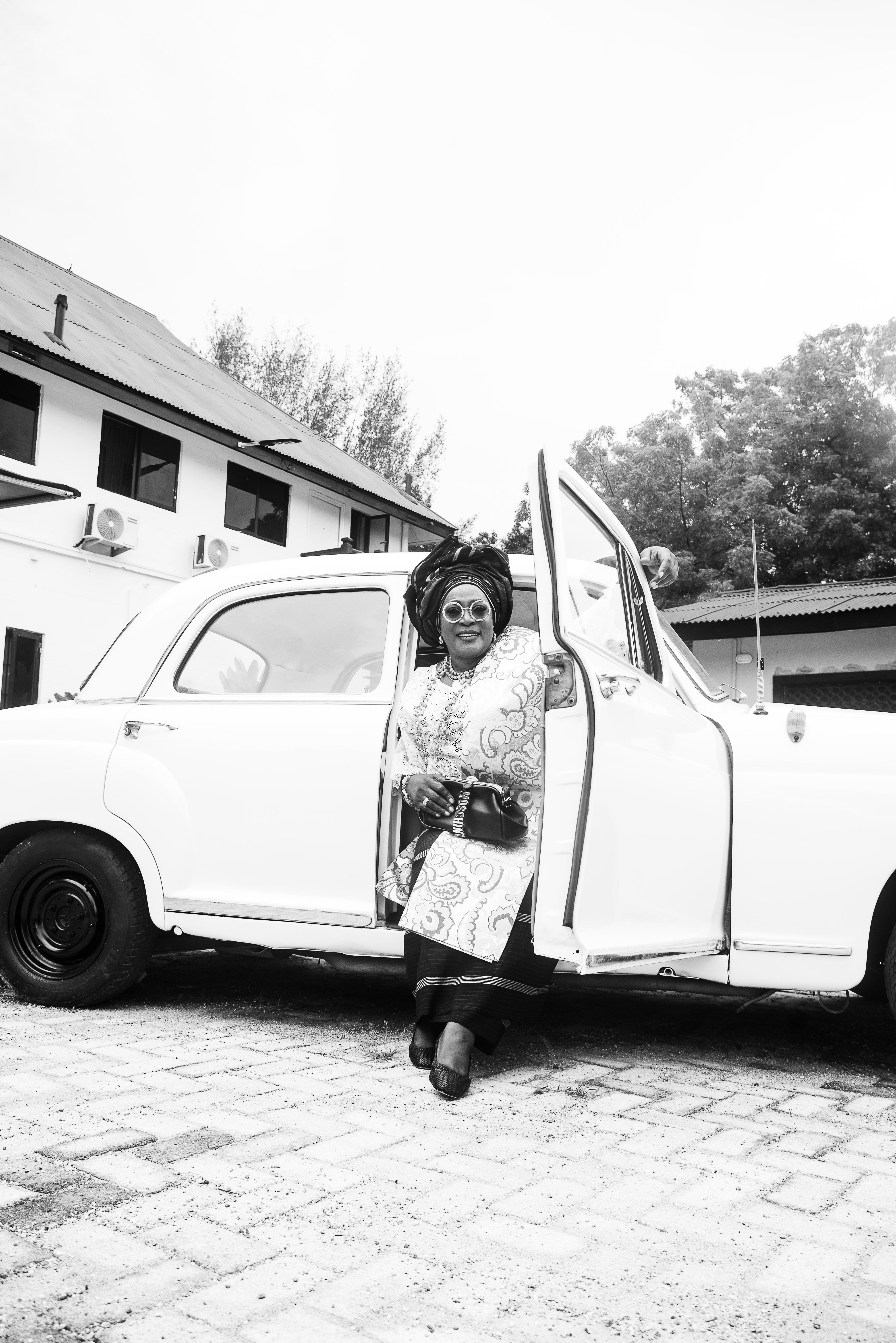 Kabutar+Image Photos, Download The BEST Free Kabutar+Image Stock Photos ...