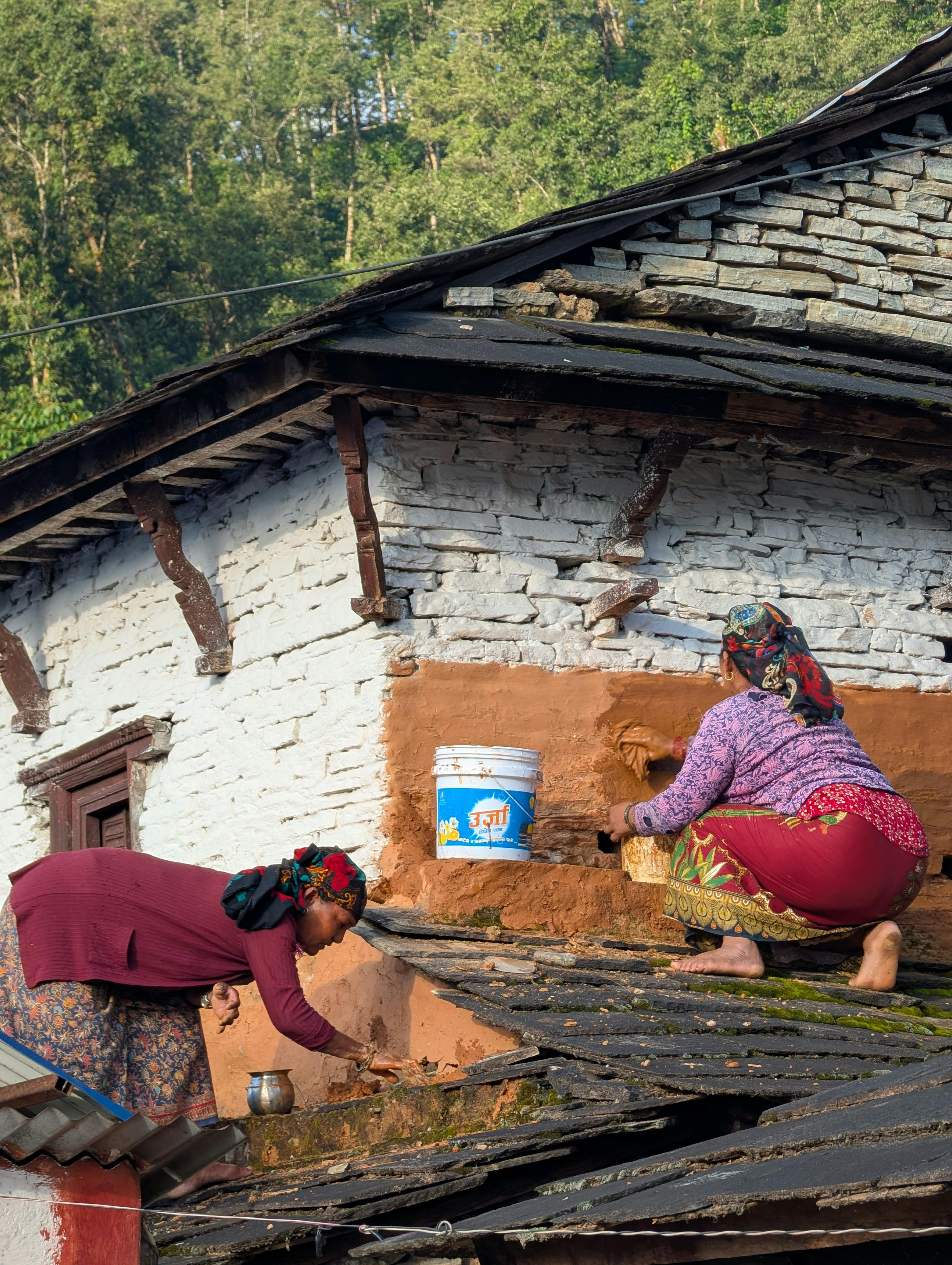 Daydrian Harding Photos, Download The BEST Free Daydrian Harding Stock ...