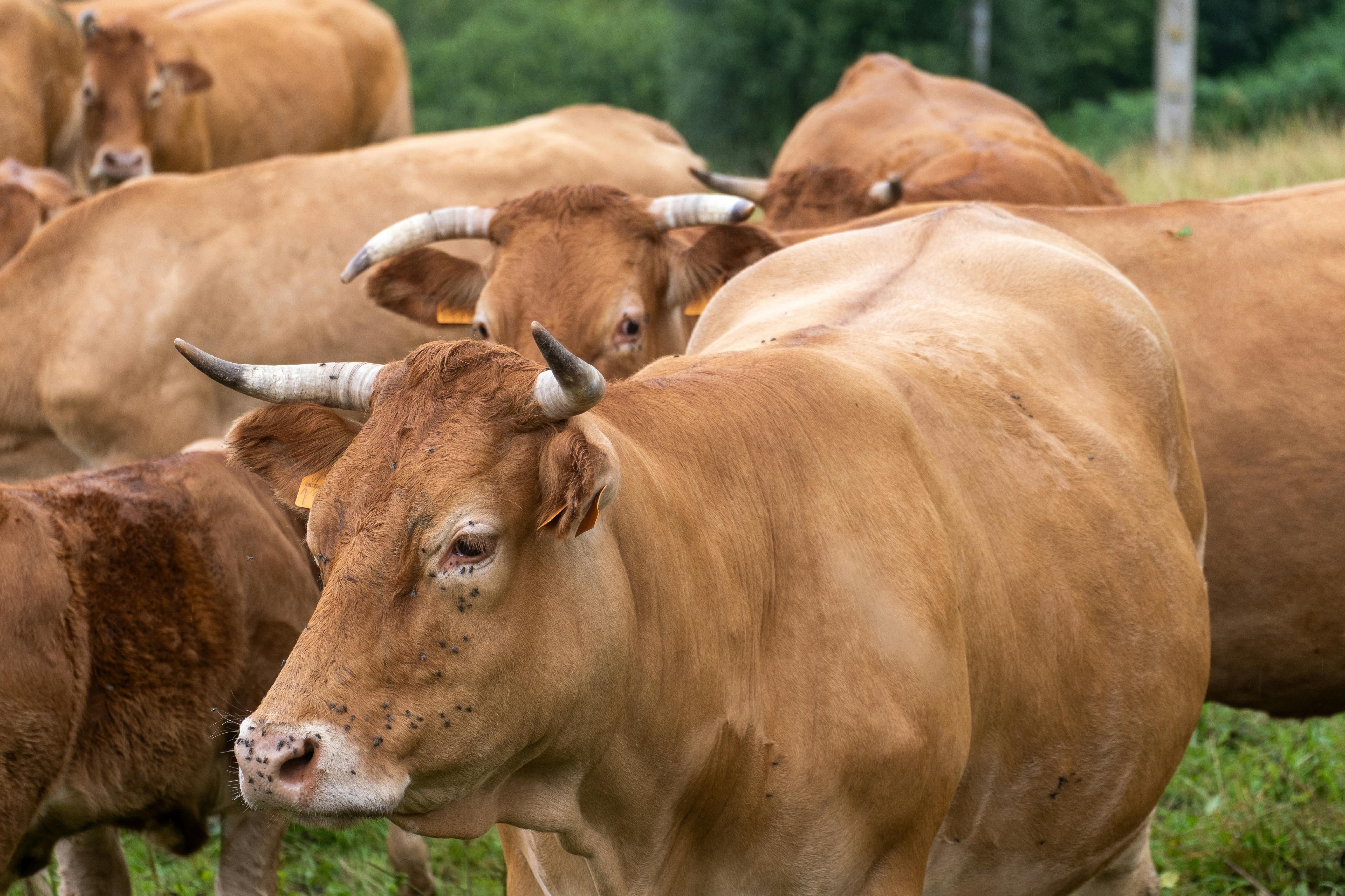 Teen+Girl+Group+Bikini Photos, Download The BEST Free Teen+Girl+Group ...