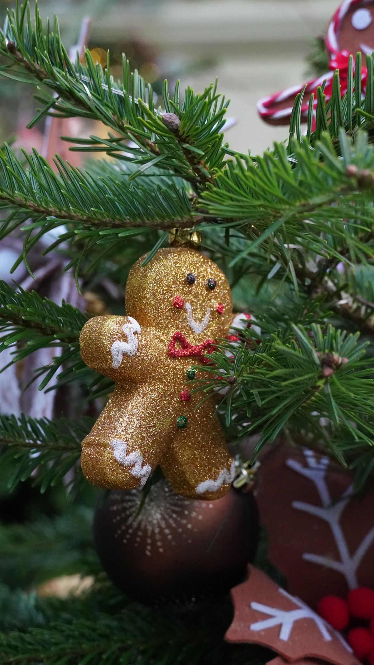 Gingerbread Man Photos, Download The BEST Free Gingerbread Man Stock ...