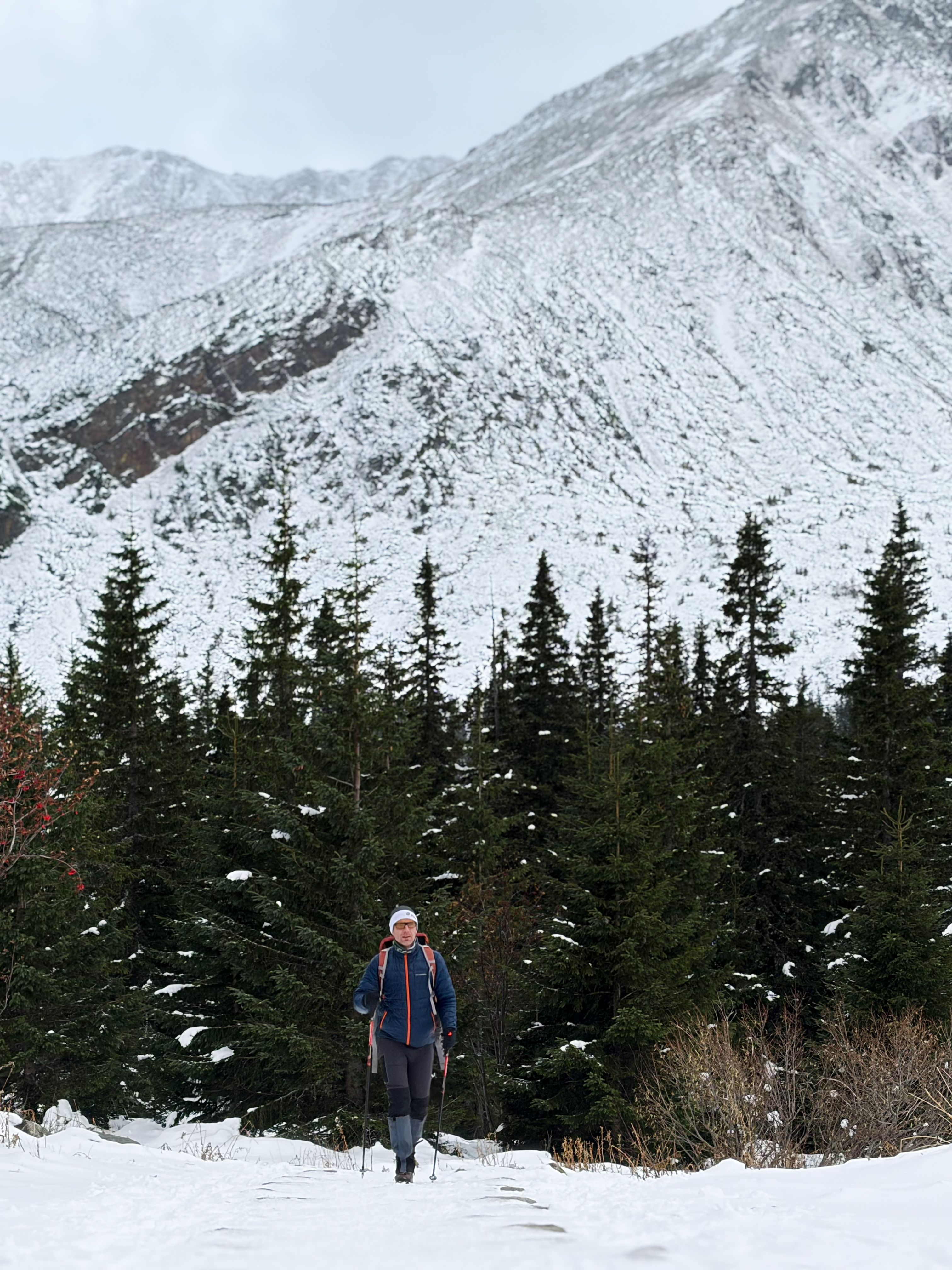 Wandering Photos, Download The BEST Free Wandering Stock Photos & HD Images