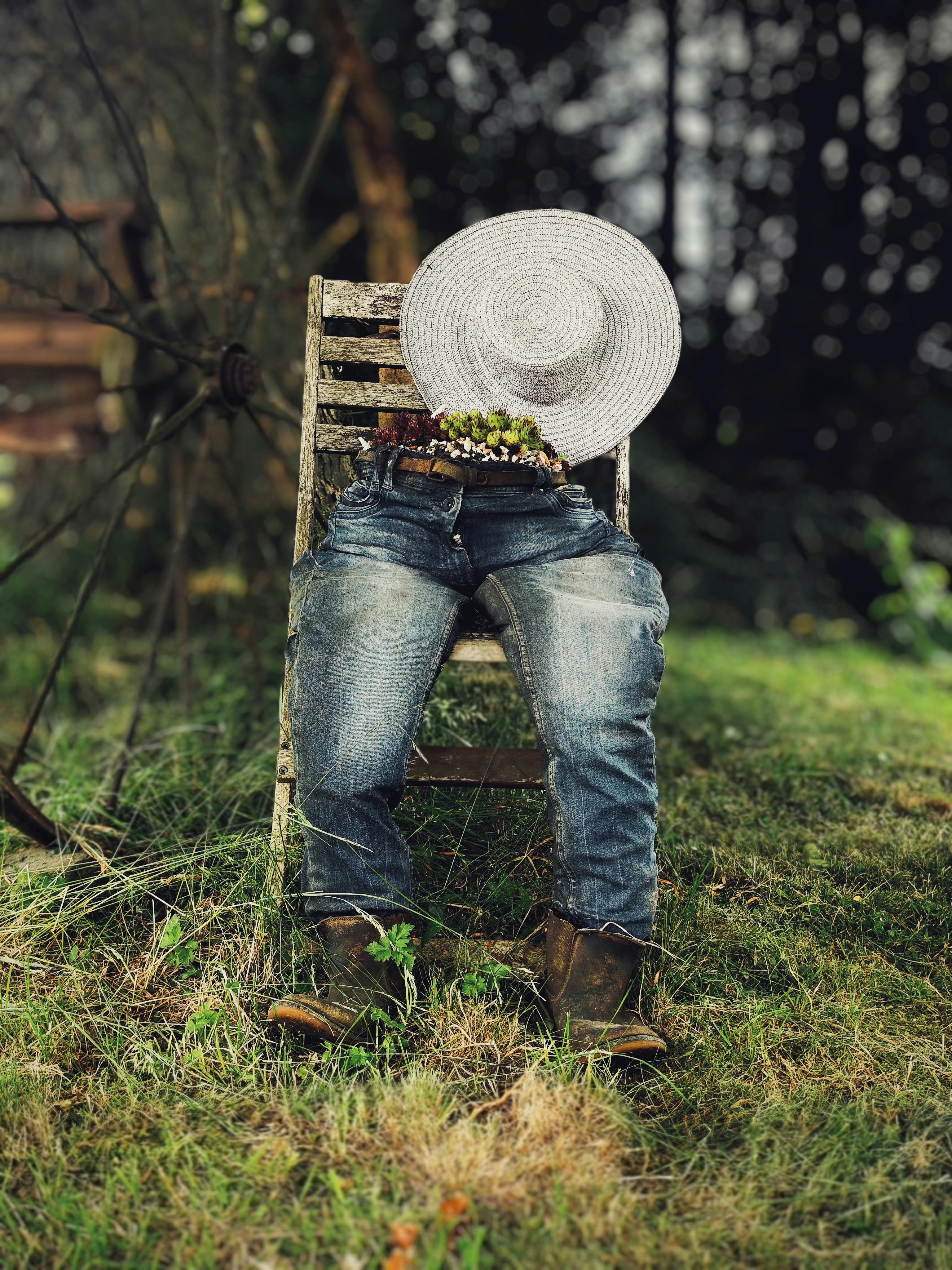Scarecrow Photos, Download The BEST Free Scarecrow Stock Photos & HD Images