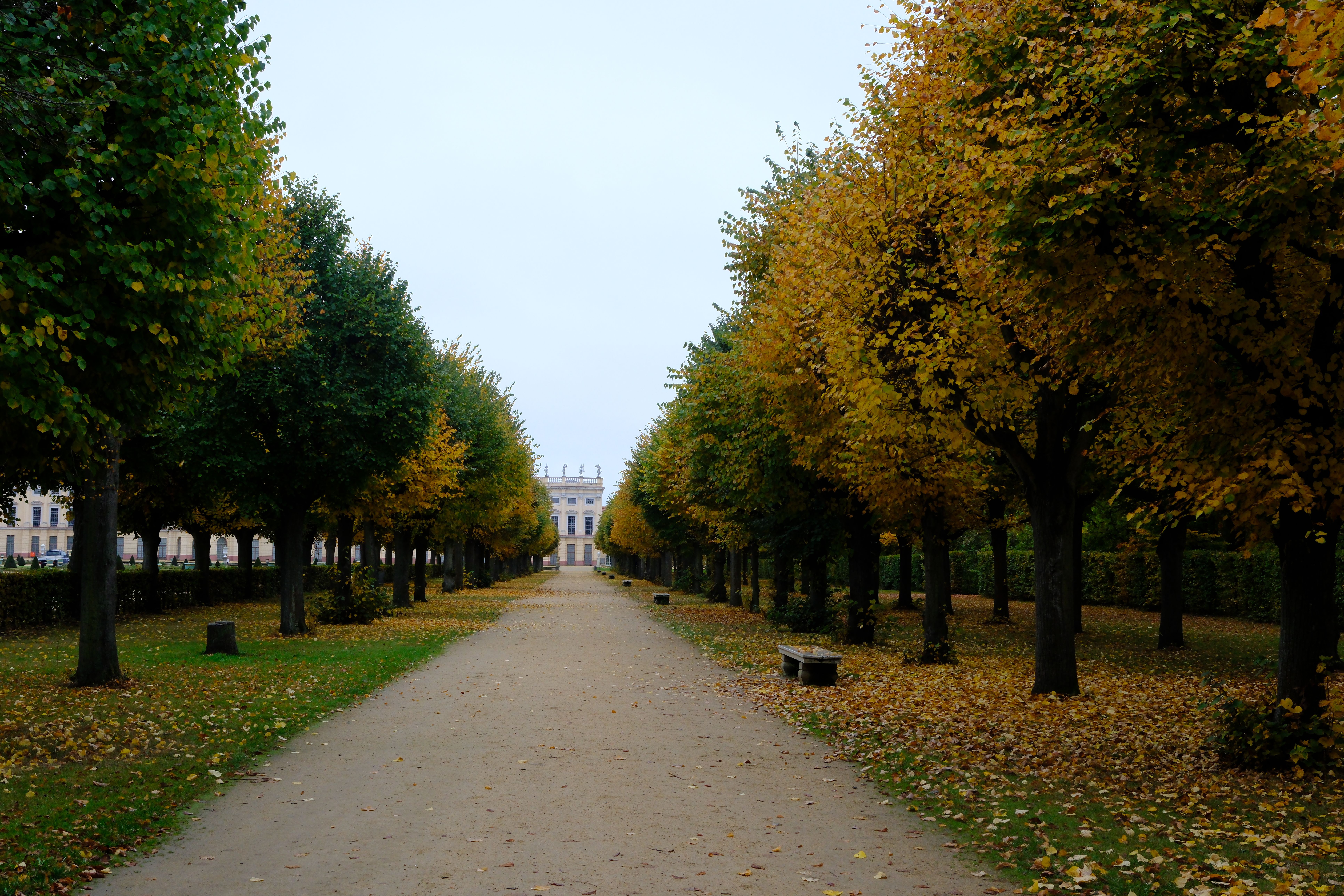 Elegant Autumn Pathway in Versailles Garden · Free Stock Photo