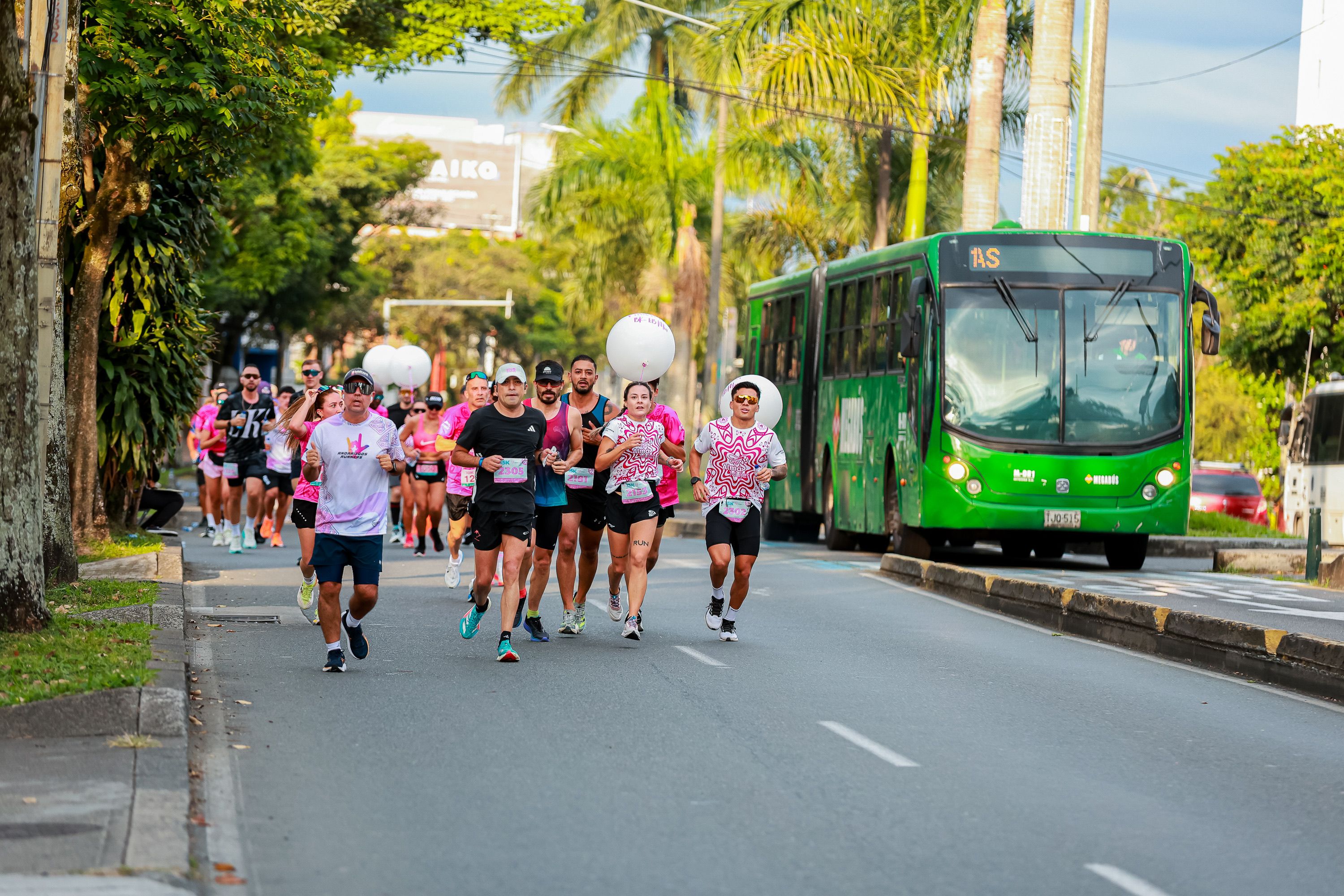 Group of Runners Participating in Outdoor Marathon · Free Stock Photo