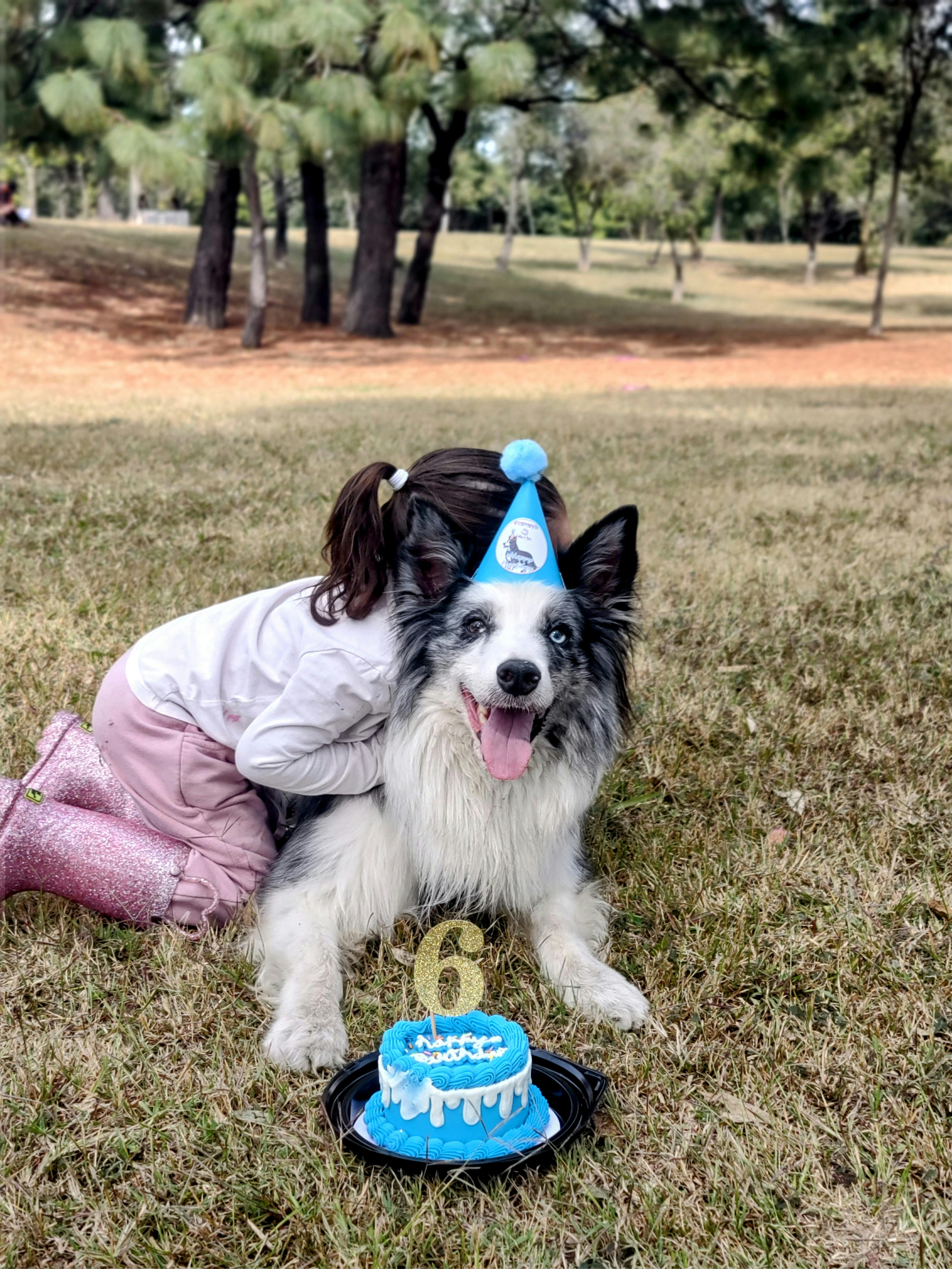 Birthday Loading Photos, Download The BEST Free Birthday Loading Stock ...